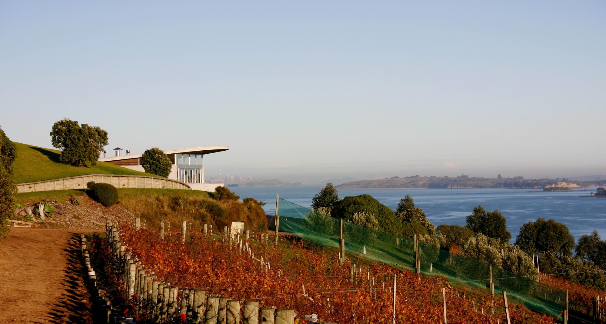 Te Whau Winery — ASC Architects
