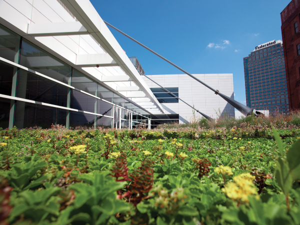 Roof Garden Systems — Carlisle Middle East