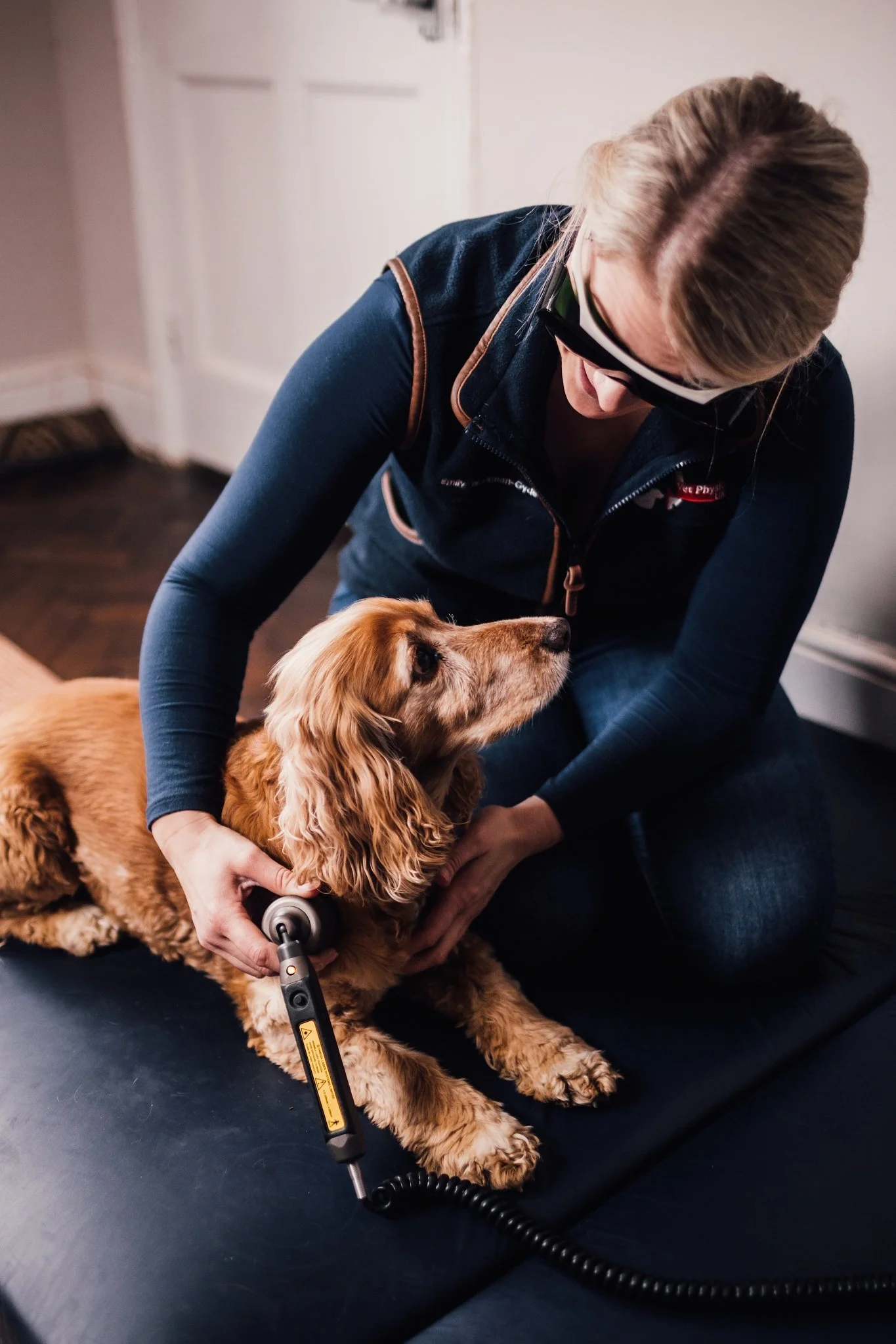 Welcome to Vet Physio UK
