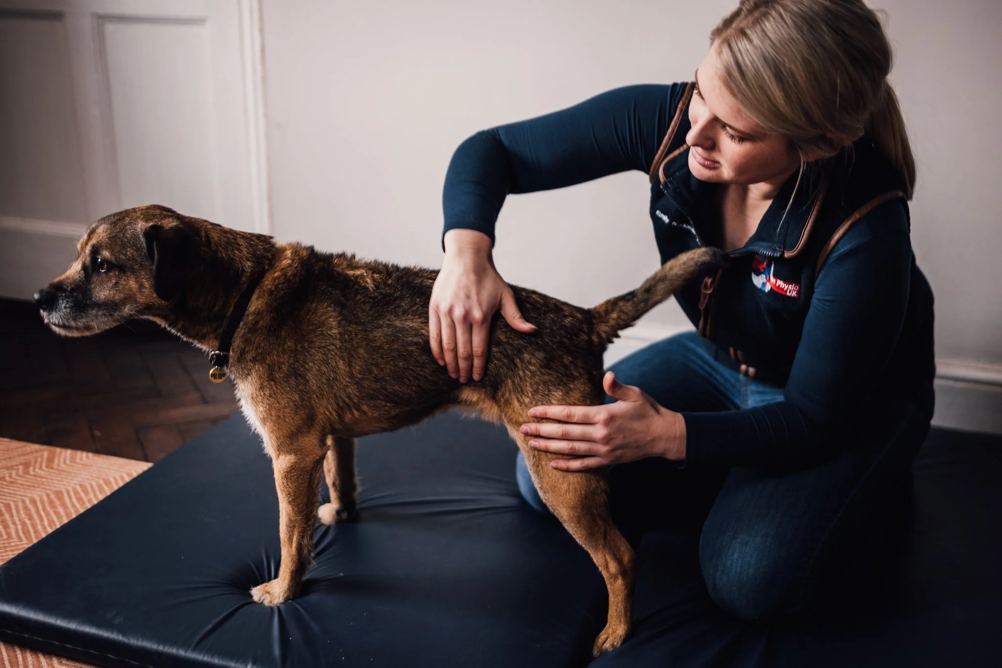 Training and Courses — Welcome to Vet Physio UK