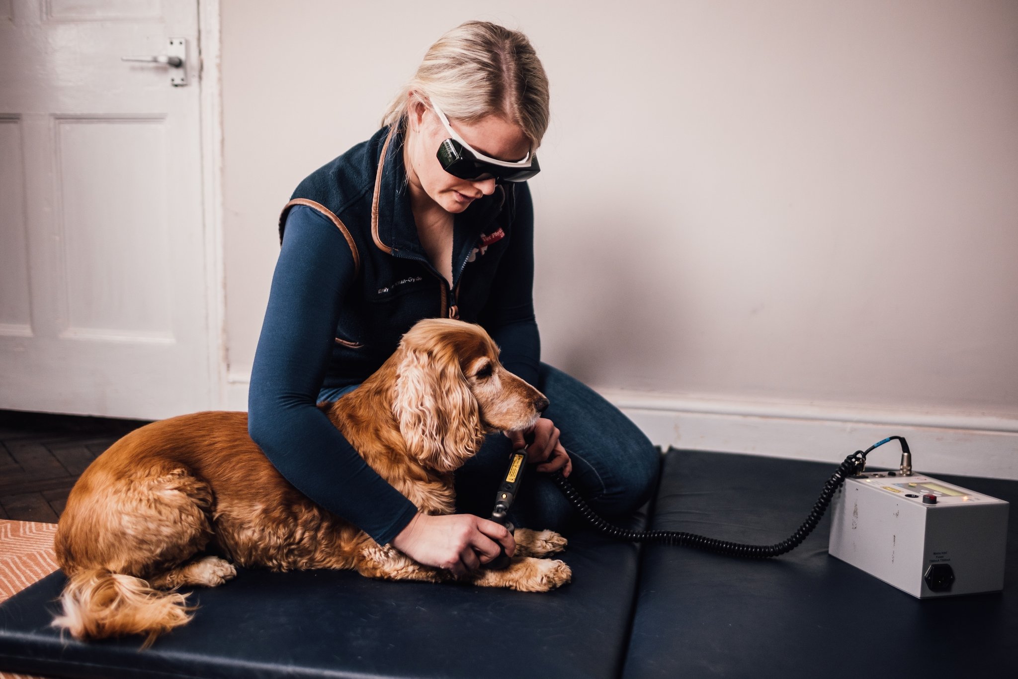Training and Courses — Welcome to Vet Physio UK