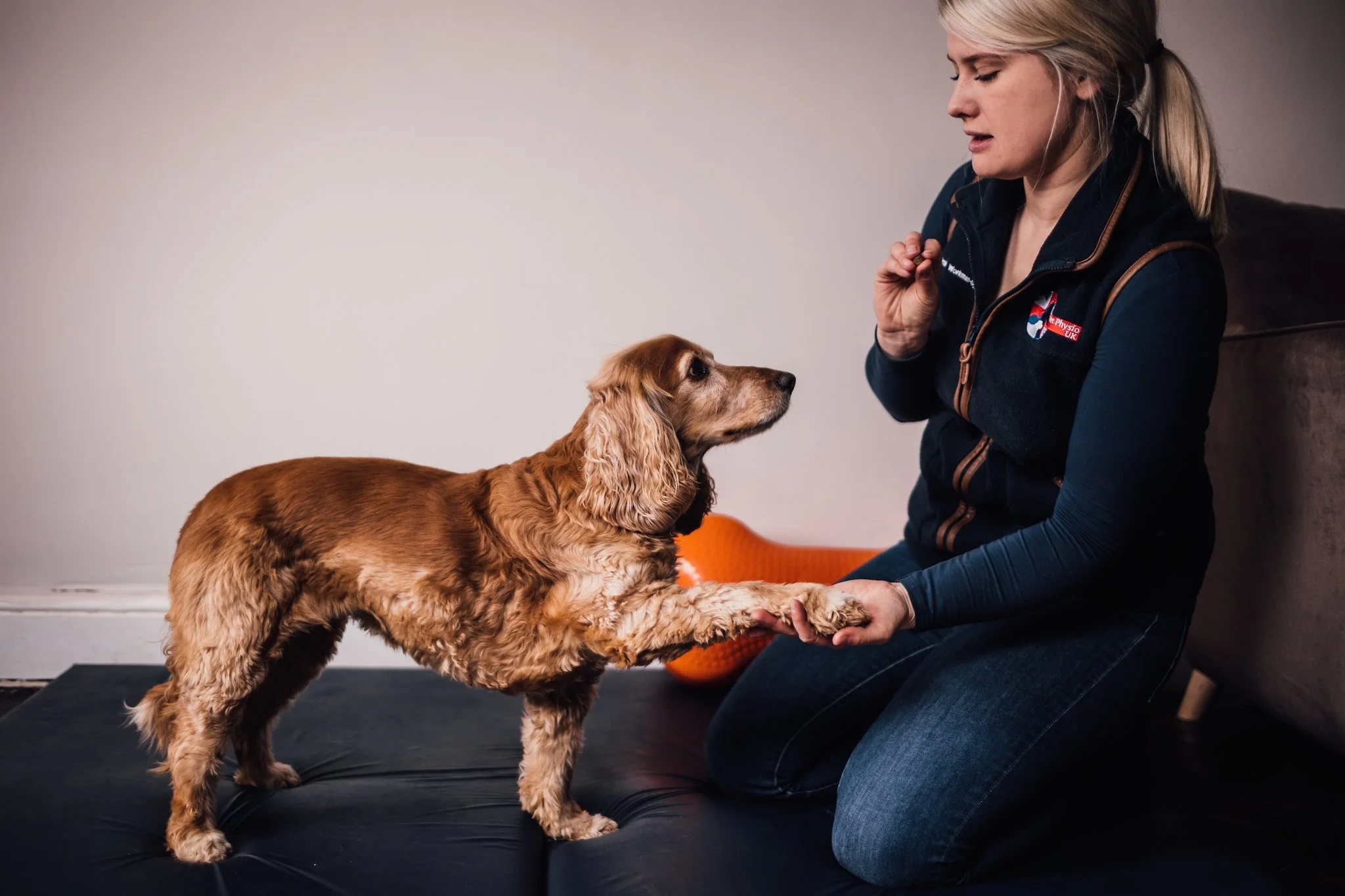 CANINE — Welcome to Vet Physio UK