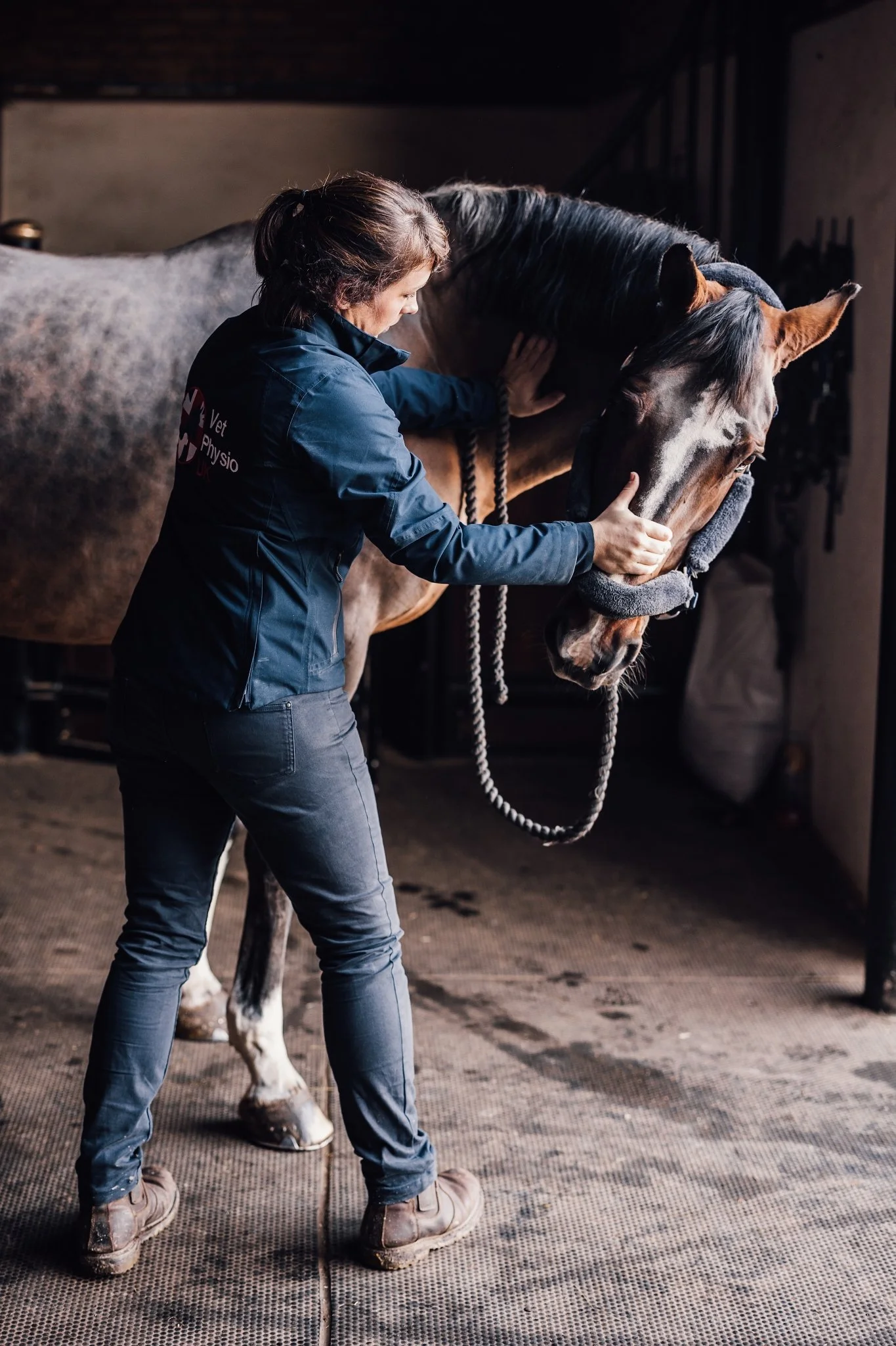 Welcome to Vet Physio UK