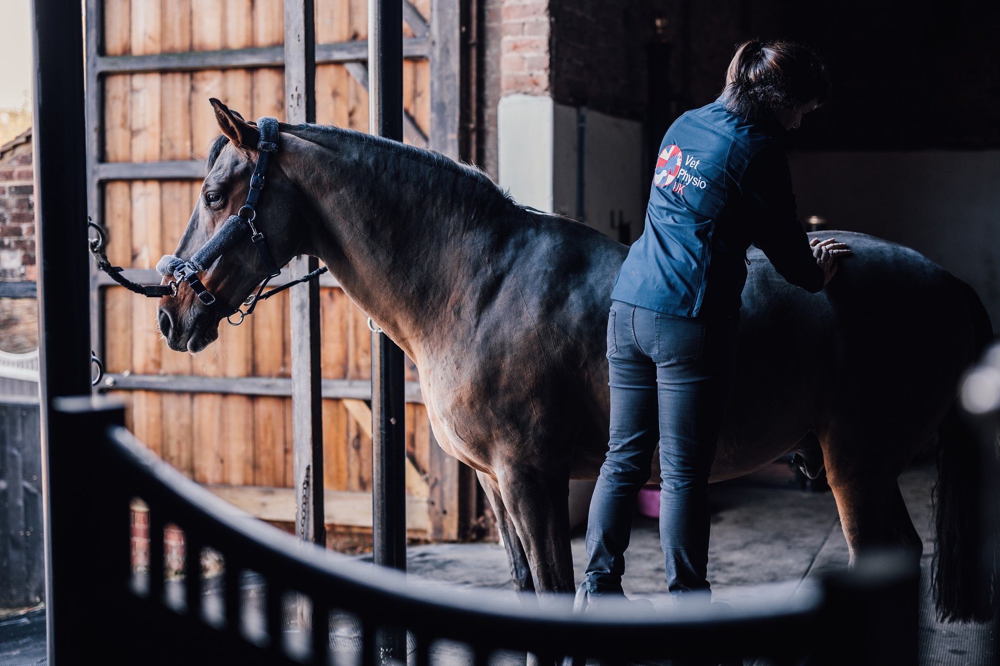 EQUINE — Welcome to Vet Physio UK