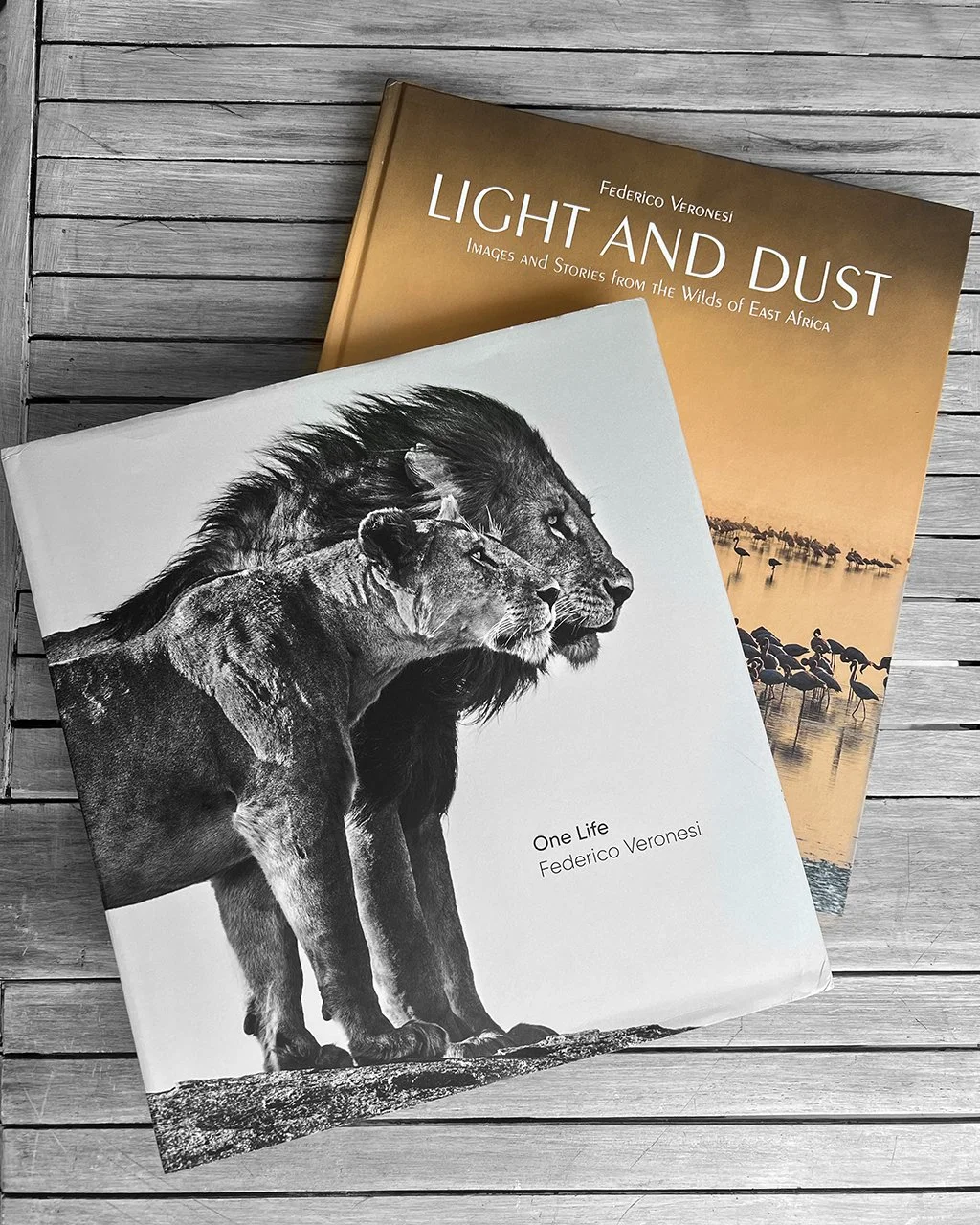 Fine-Art African Wildlife Photography | Federico Veronesi