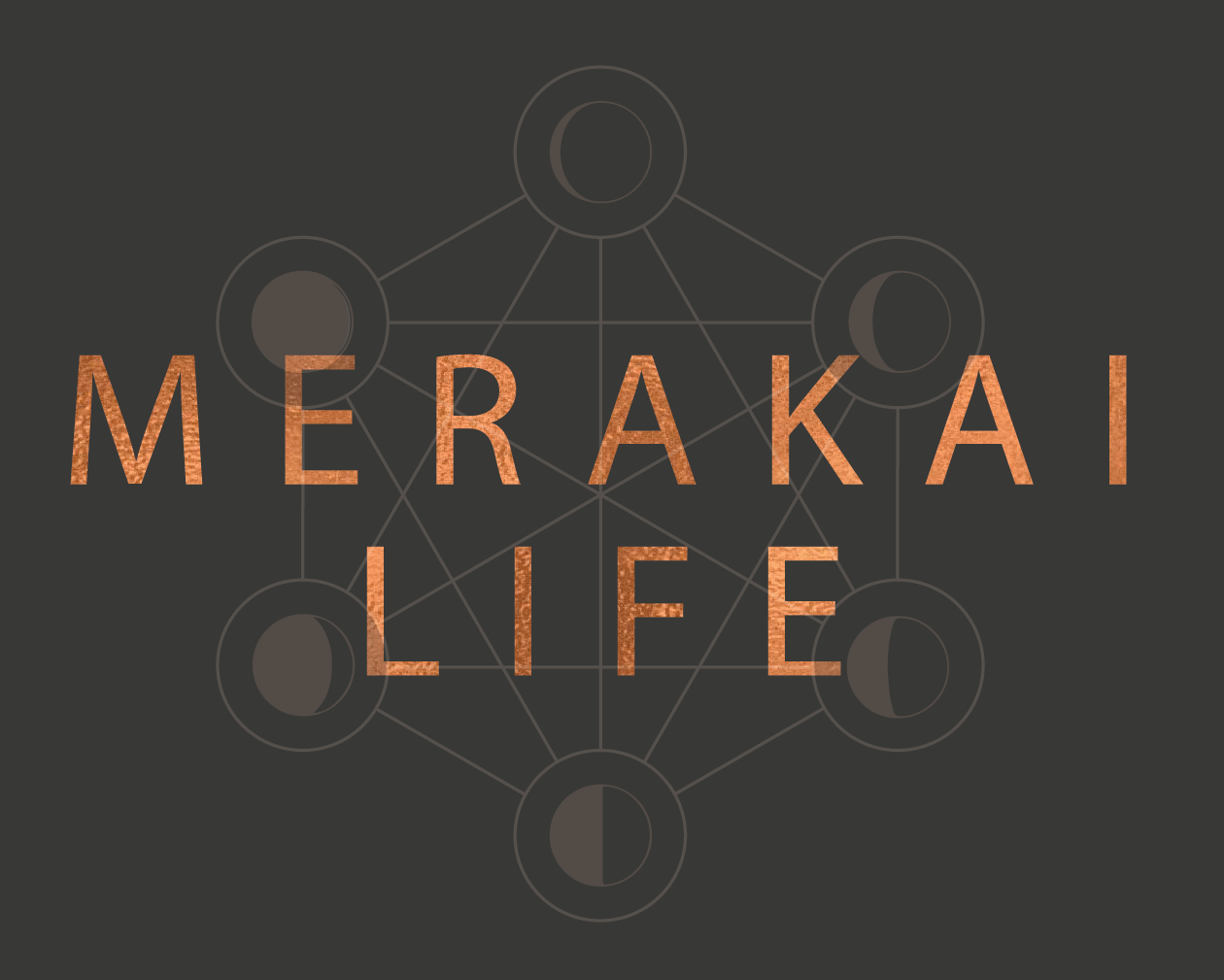 Merakai Life Brand Design — June Mango Design