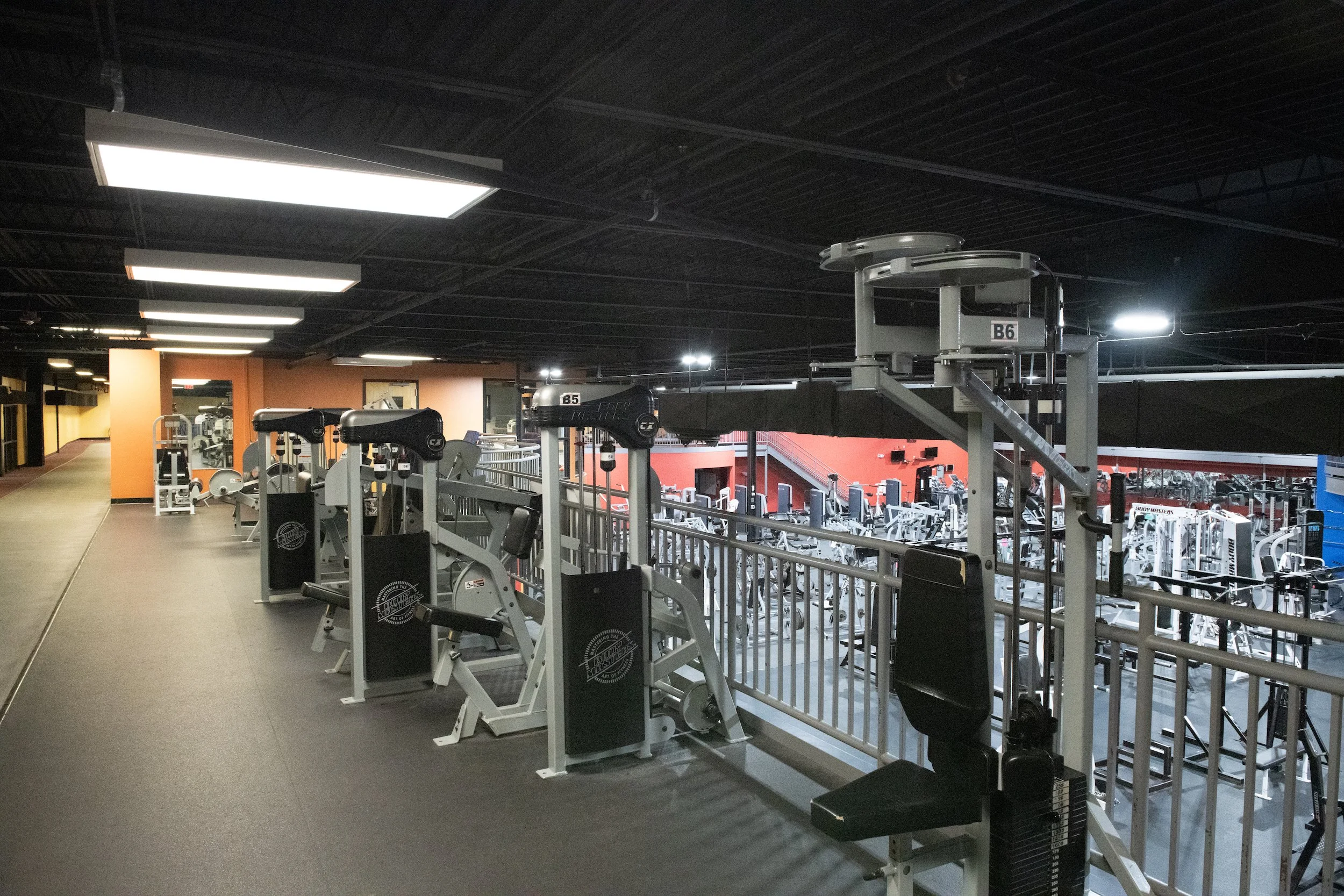 Gallery — THE WEIGHT CLUB