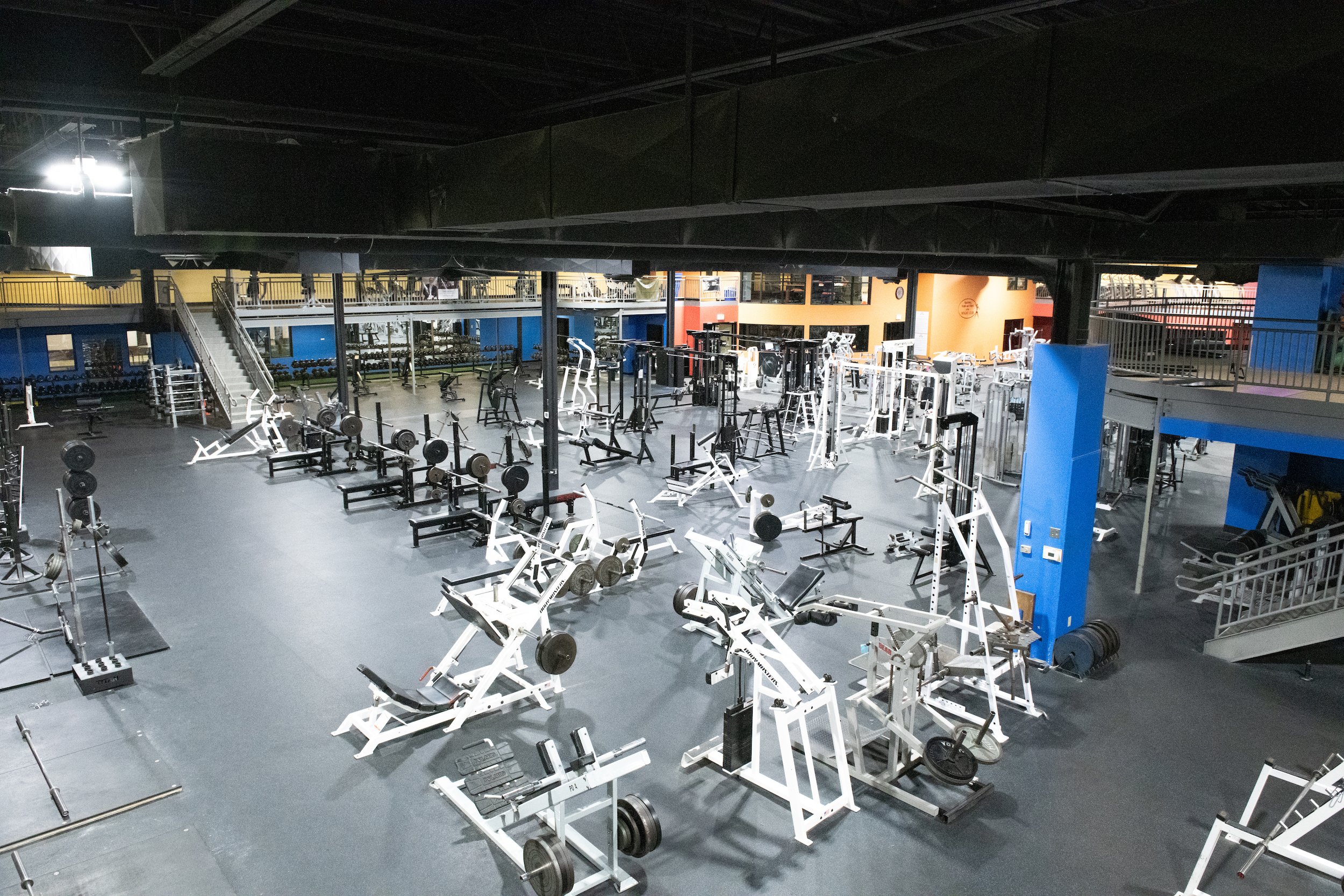 Gallery — THE WEIGHT CLUB