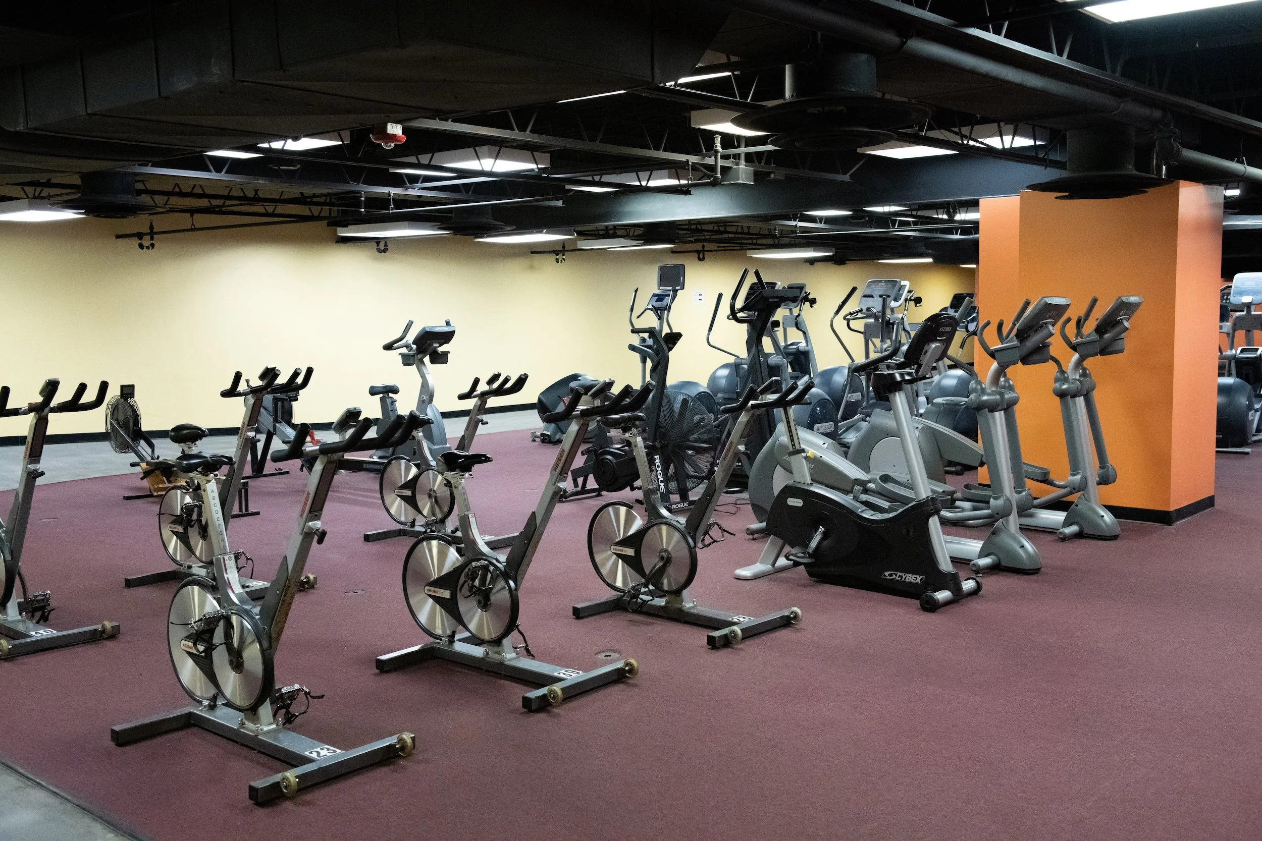 Gallery — THE WEIGHT CLUB