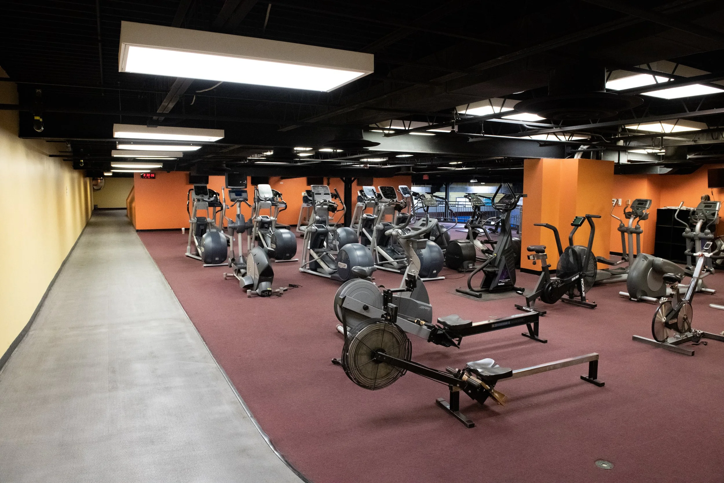 Gallery — THE WEIGHT CLUB