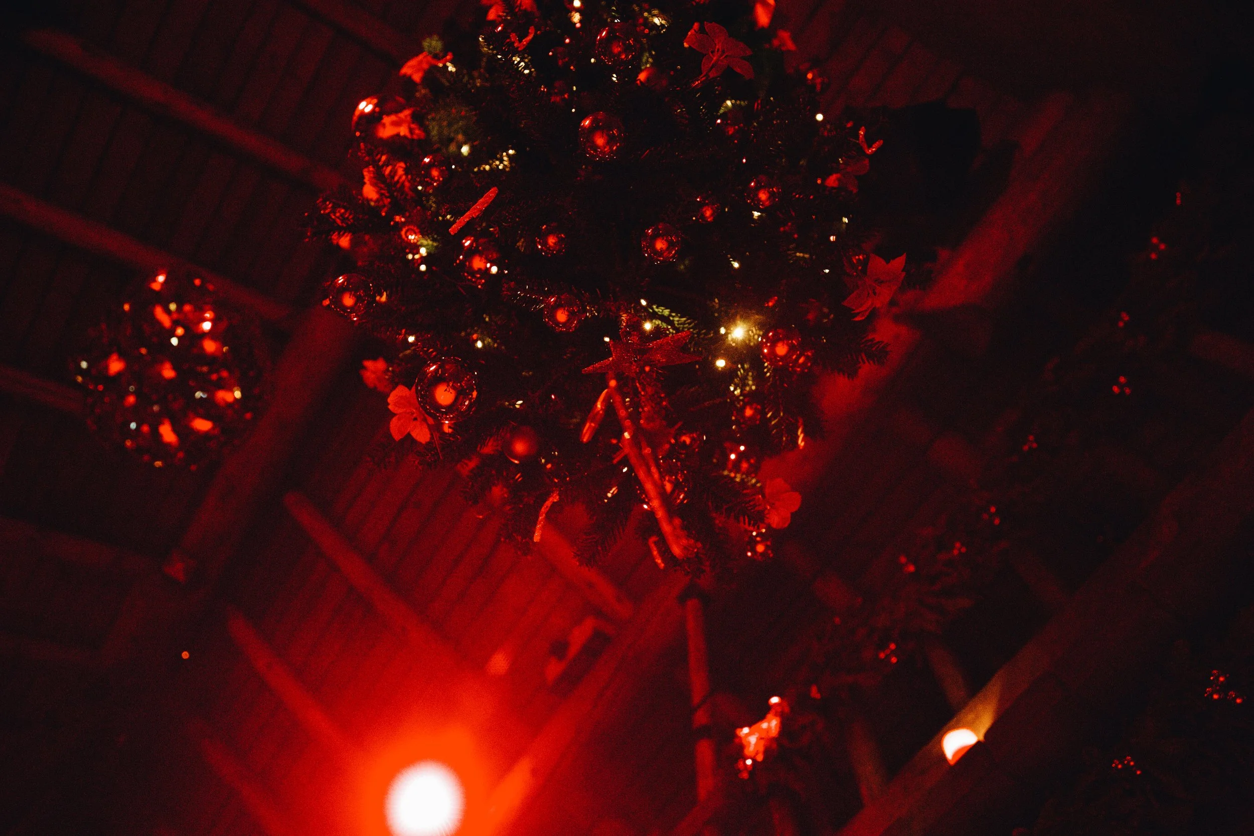 Dracula's Ghost Riders Club