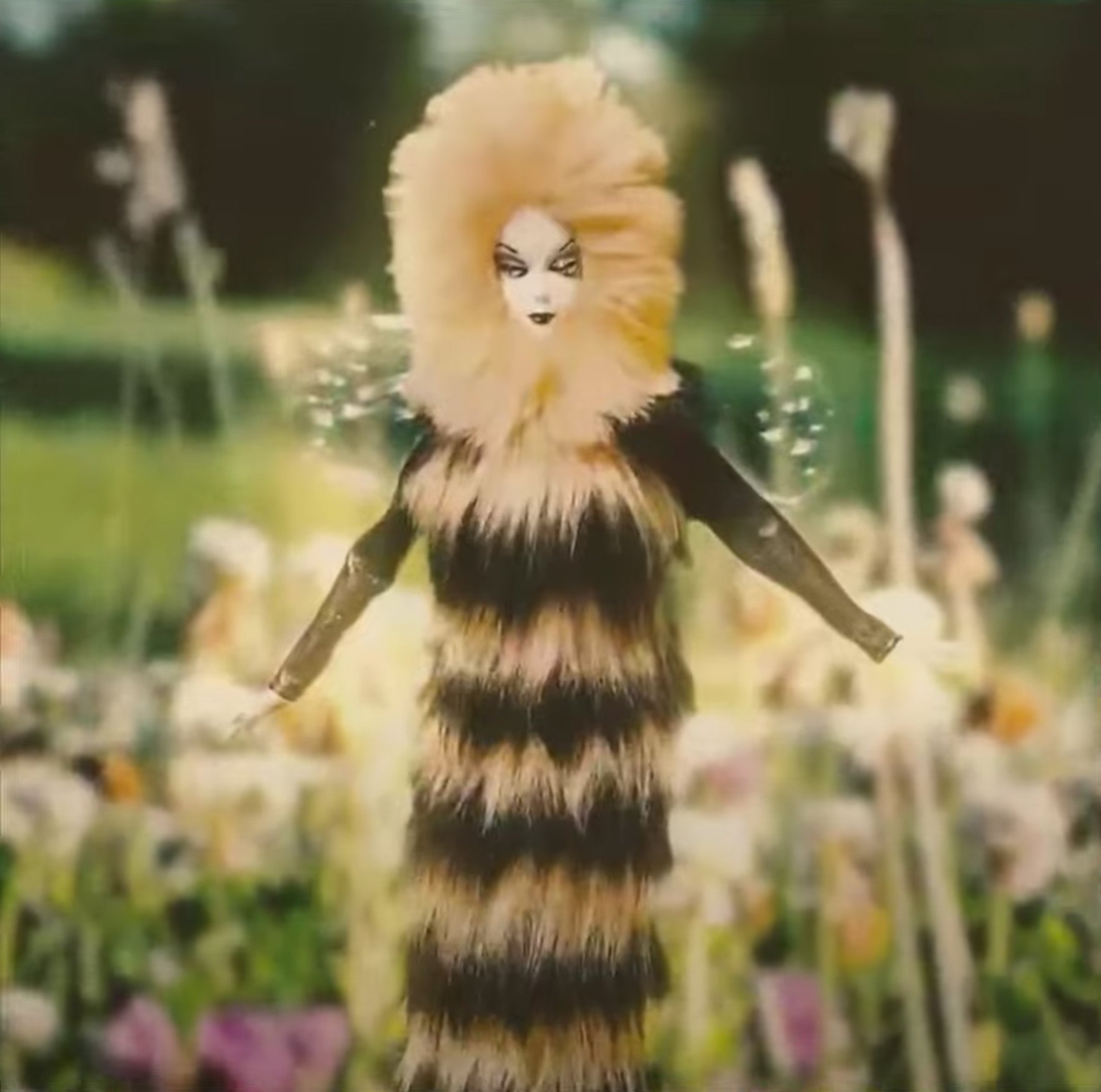 Video — Barbie x Ryden