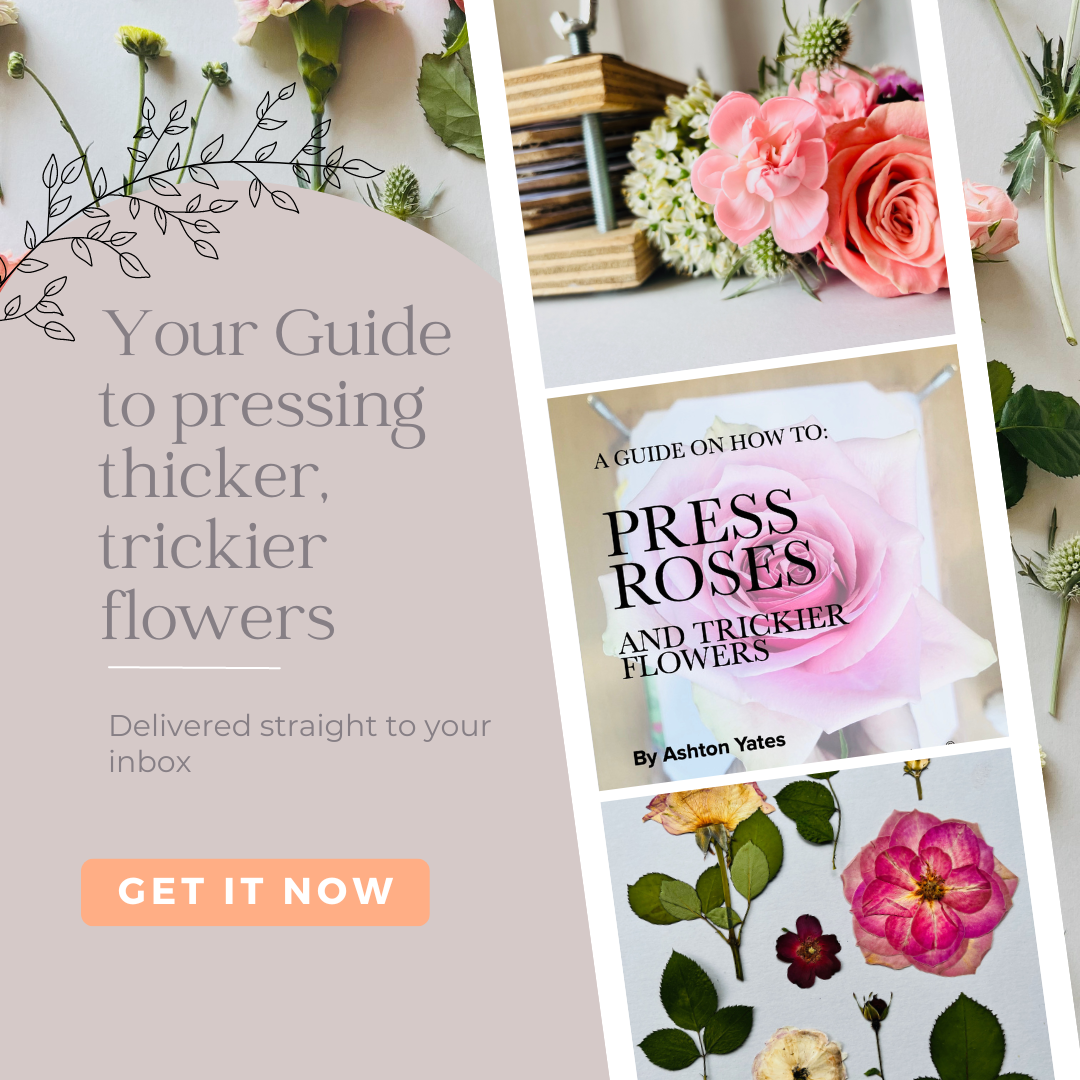 Guides — Little Pressed Flower