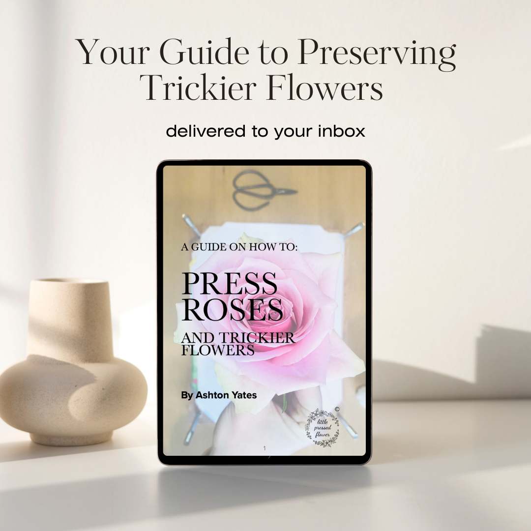 Guides — Little Pressed Flower