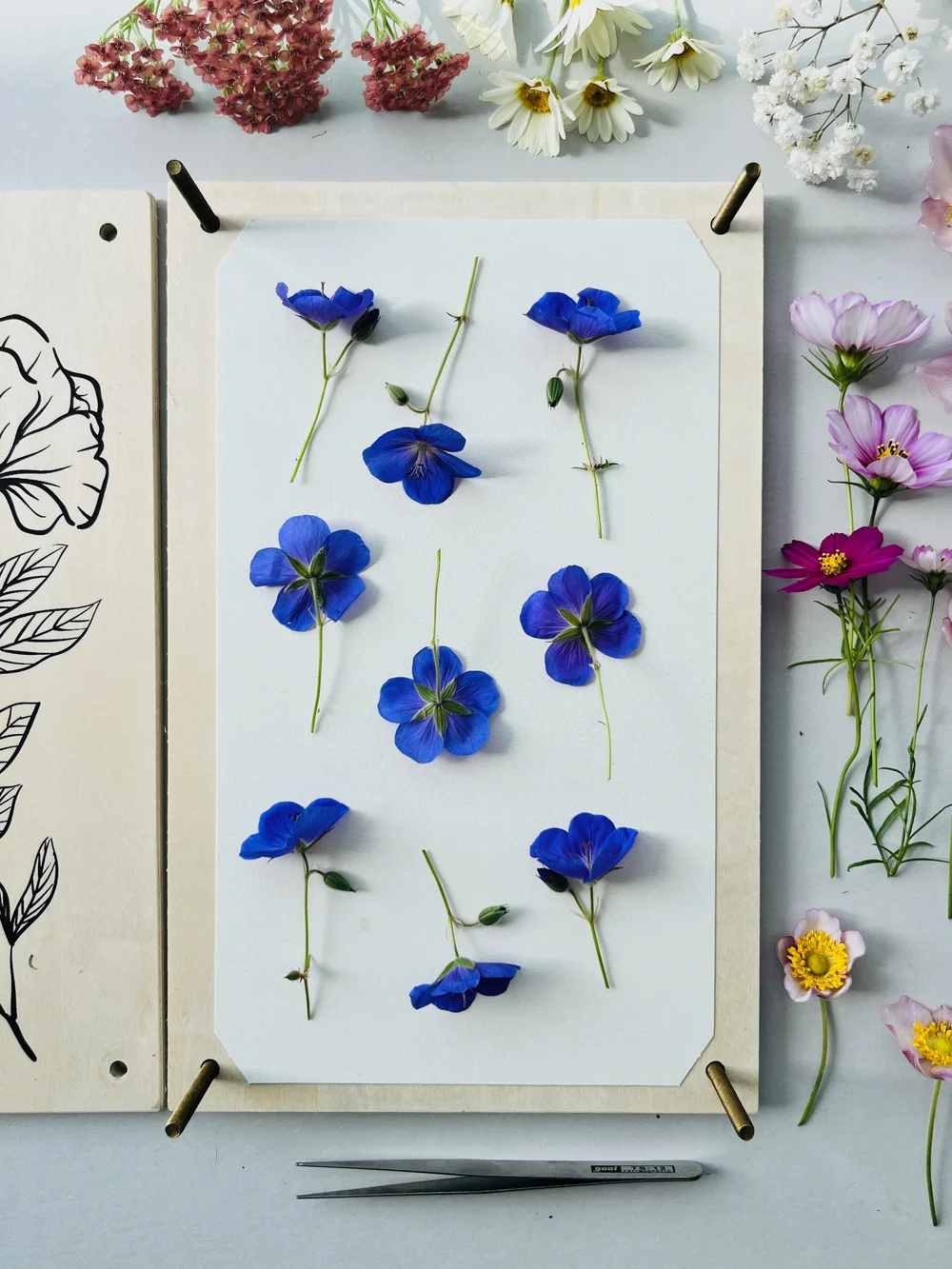 How to Press Roses: A Step-by-Step Tutorial — Little Pressed Flower