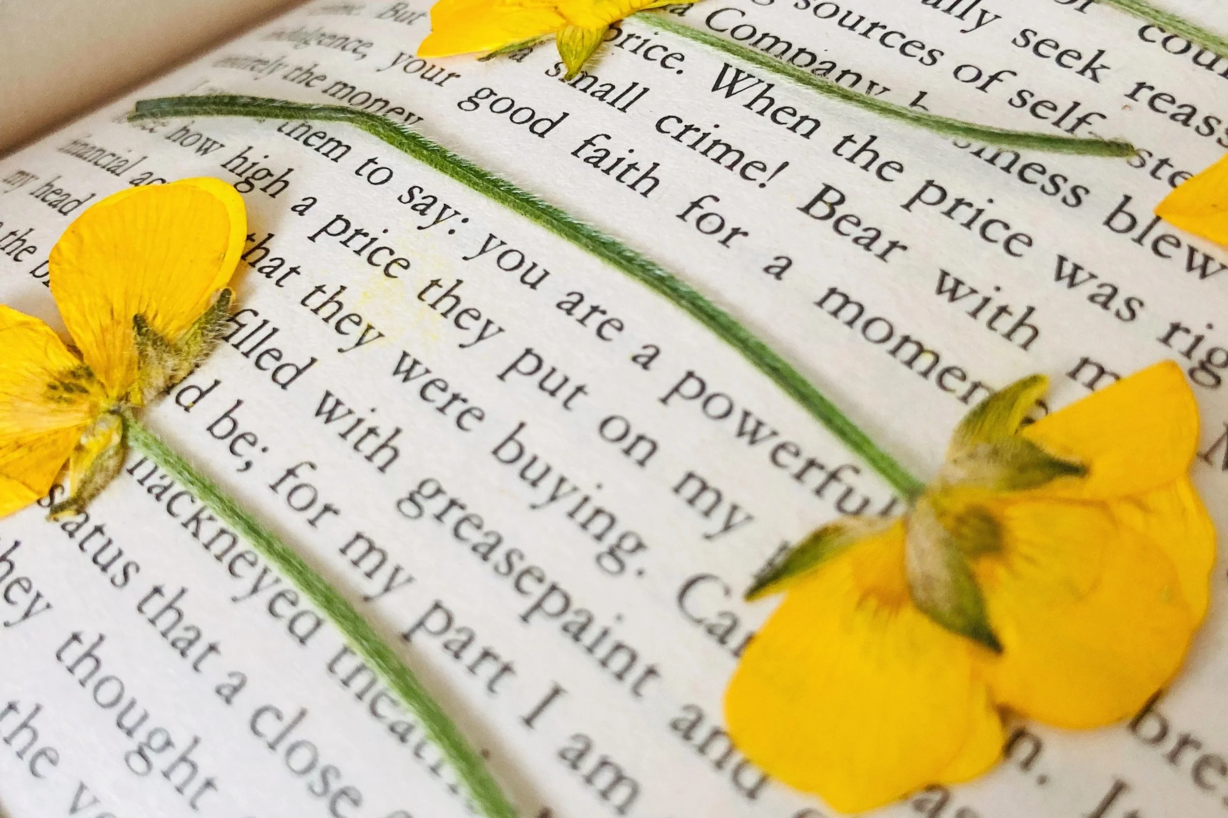 How to press flowers in books — Little Pressed Flower