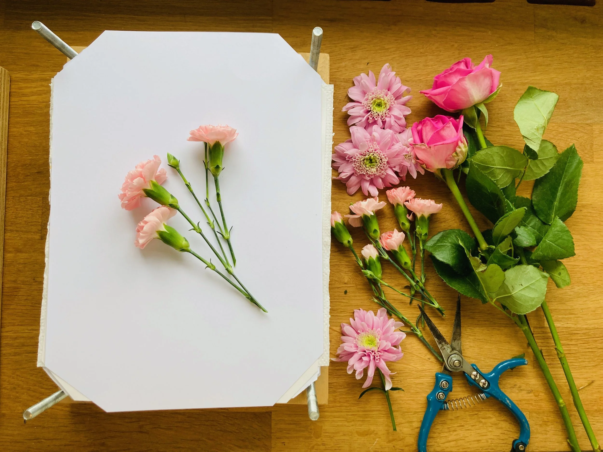 Flower Pressing Courses and Workshops — Little Pressed Flower