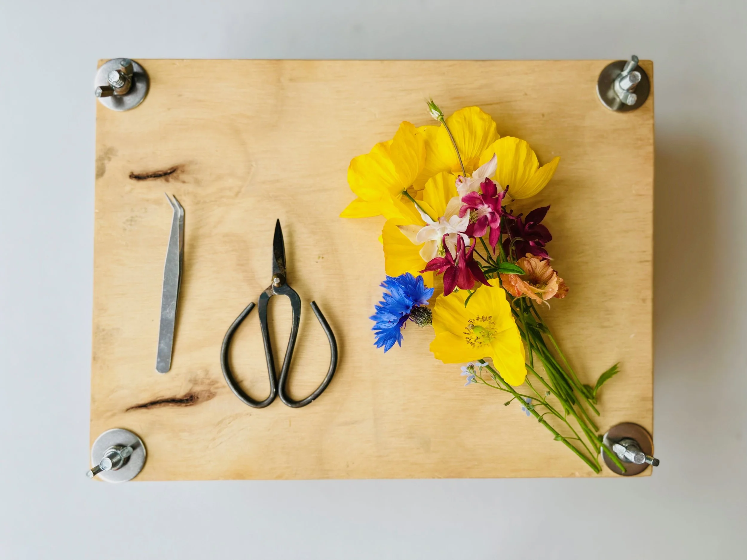 Choosing a Flower Press — Little Pressed Flower