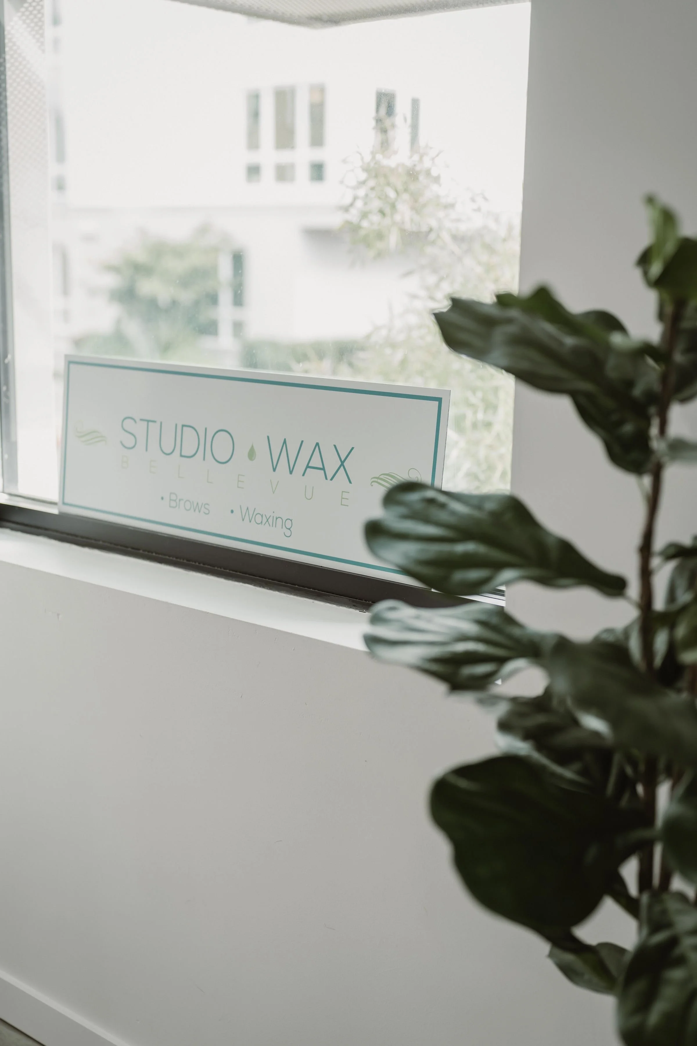 Wax Studio in Bellevue — Studio Wax