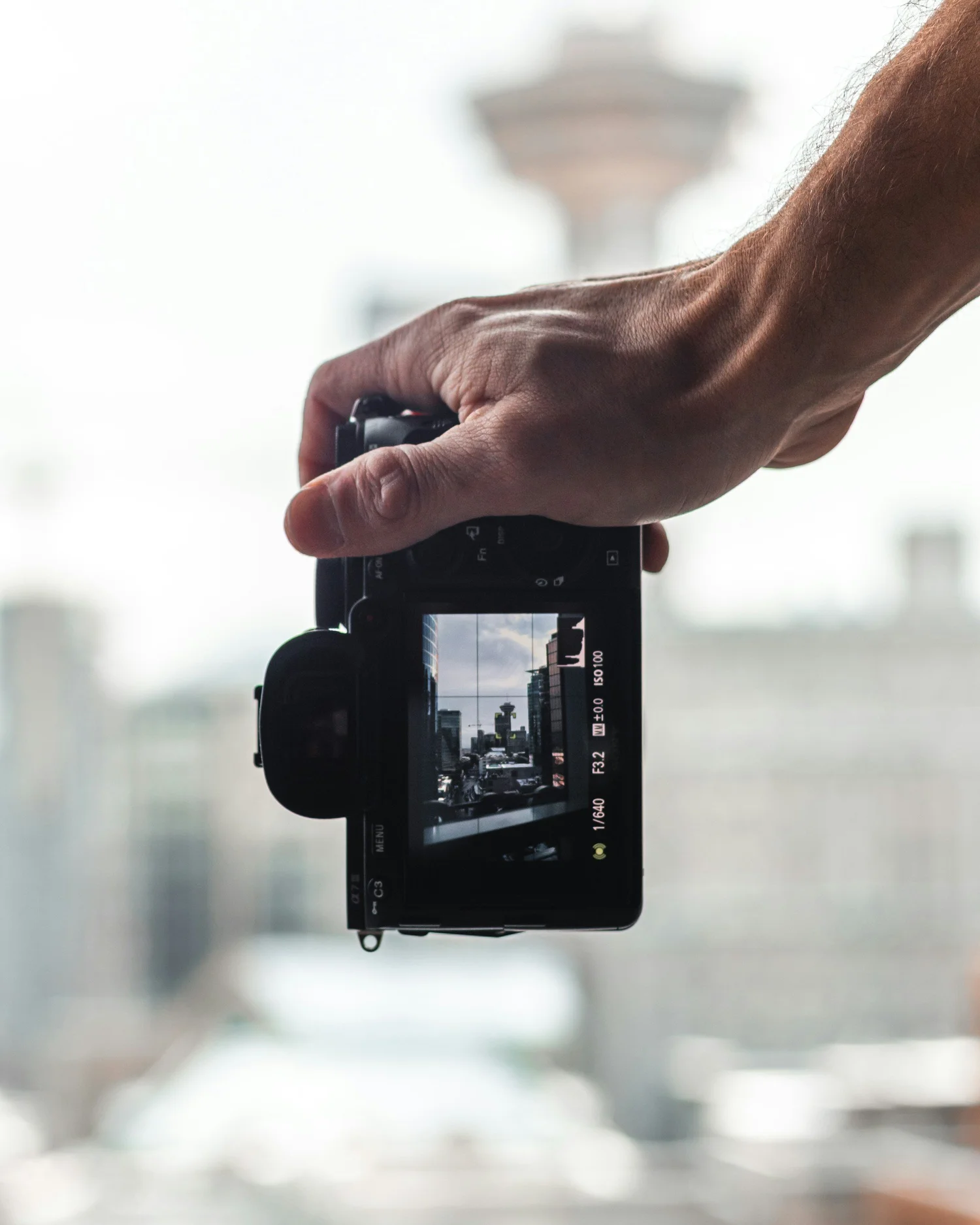 What Is the Rule of Thirds? A Foundational Guide to Photographic ...
