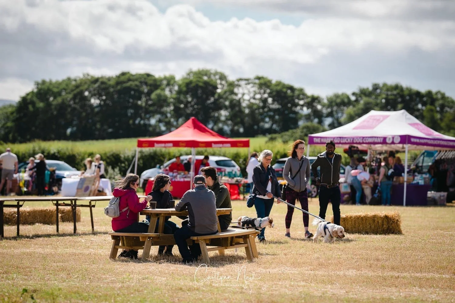 Events — Unleashed Dog Adventure Parks | Dog Adventure Parks ...