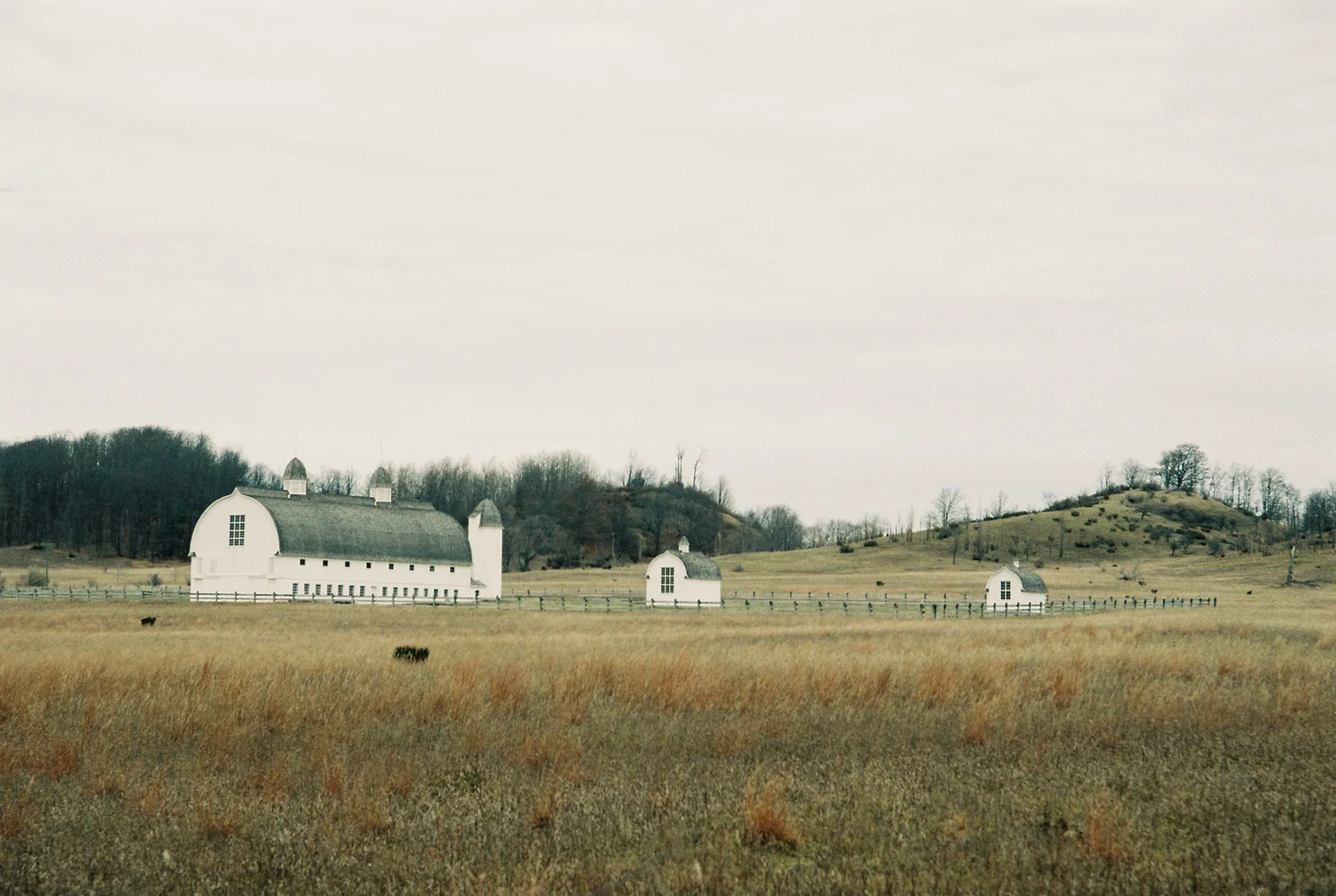 At The Homestead — HOMESTEAD VINTAGE