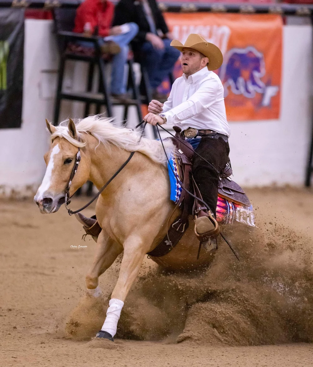2Stables Performance Horses