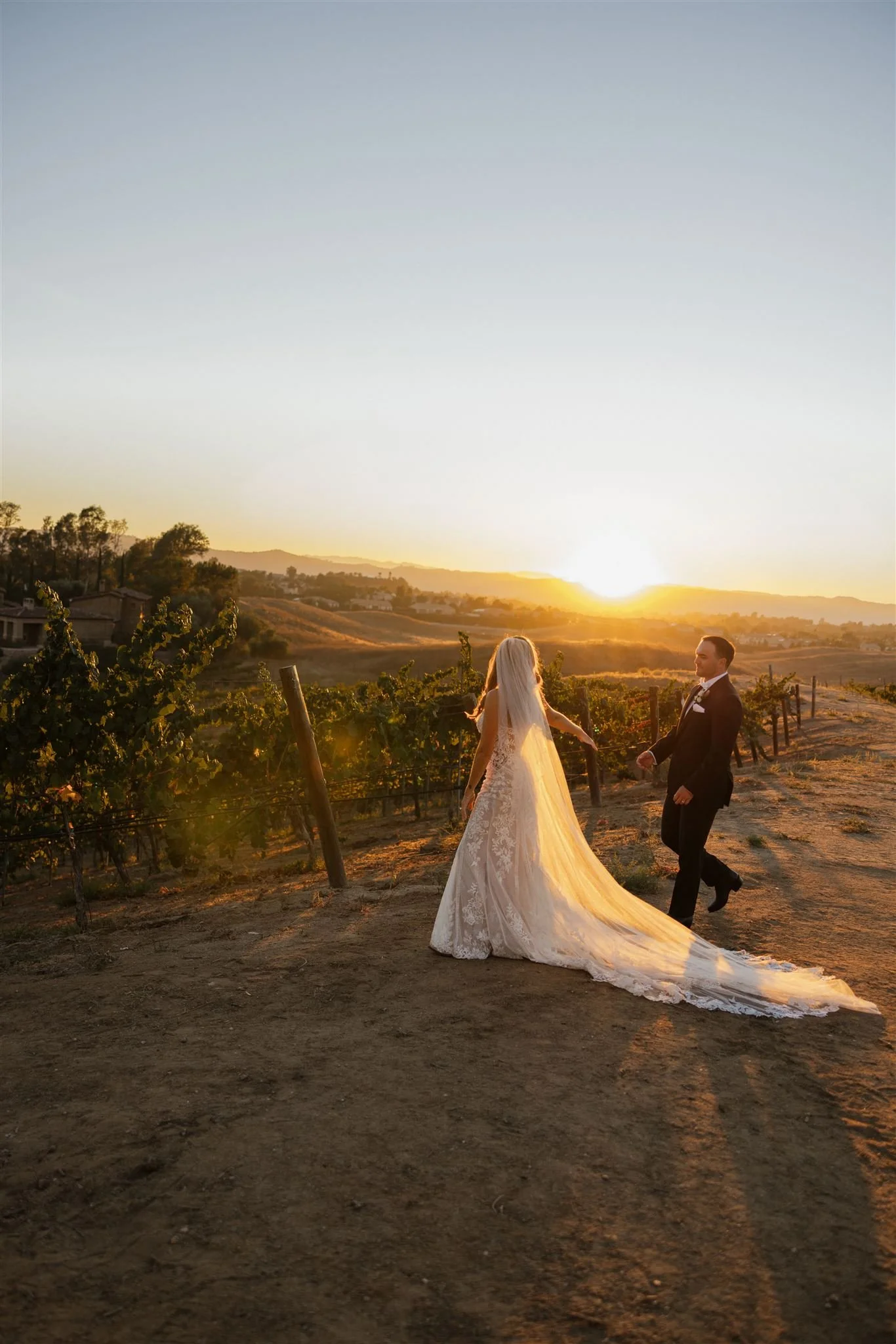 Weddings By Darian — DARIAN SHANTAY PHOTOGRAPHY