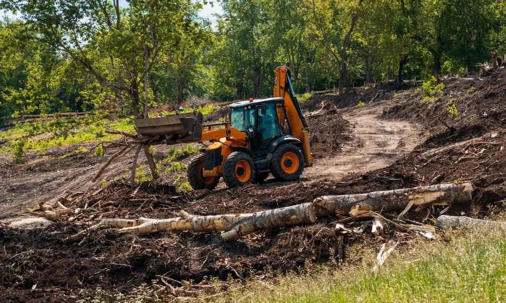 4 Ways Land Clearing Services Can Transform Your Backyard