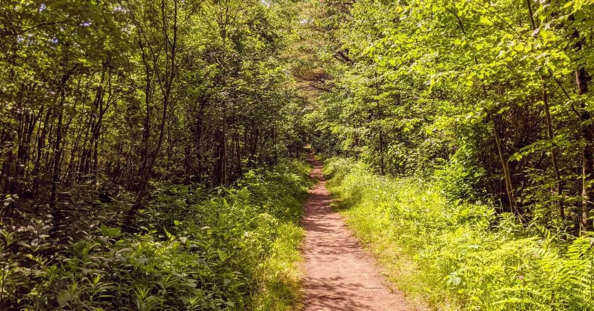 The Best Easy Hiking Trails in Bolton Landing & Lake George — The Sembrich