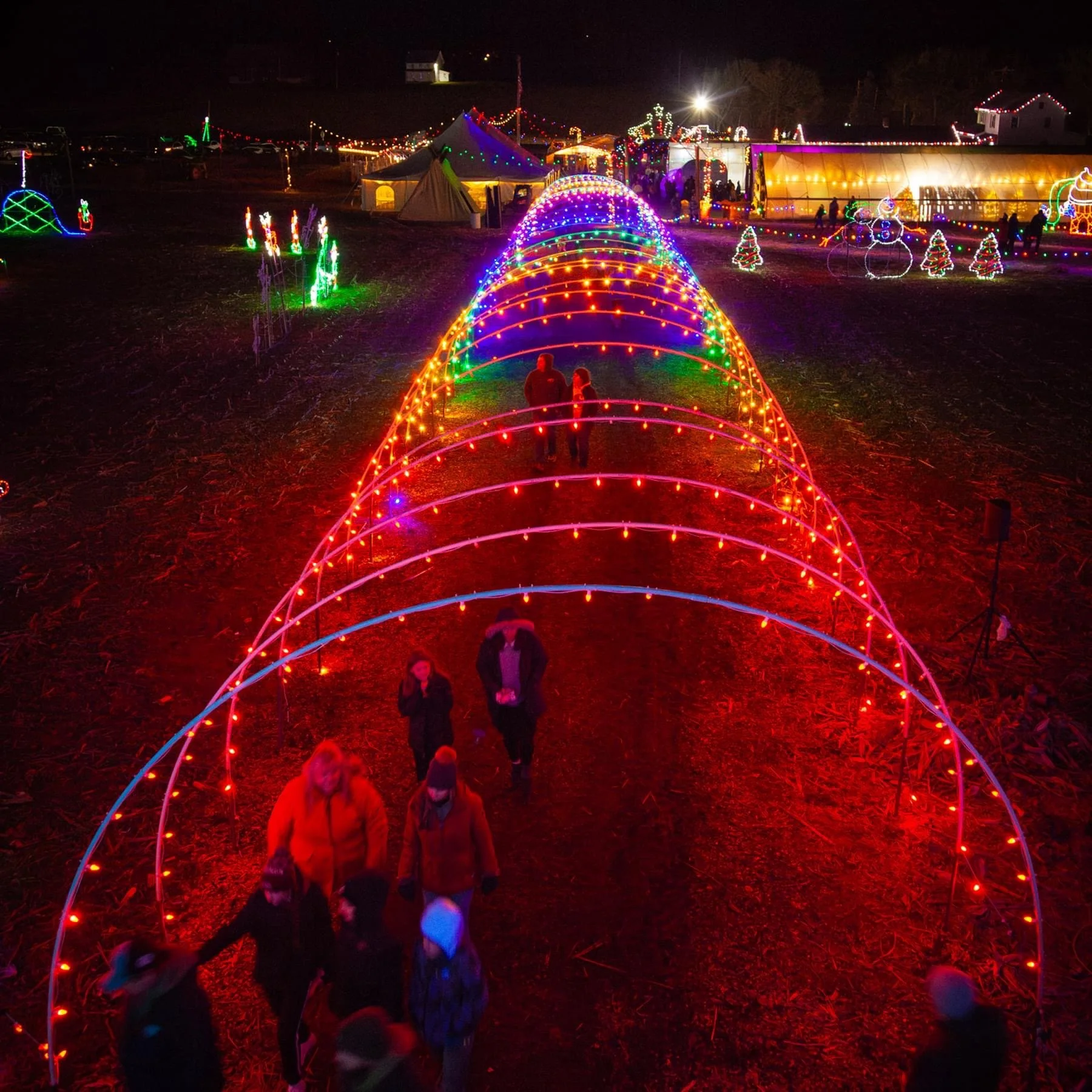Trail of Lights — Country Creek Produce Farm