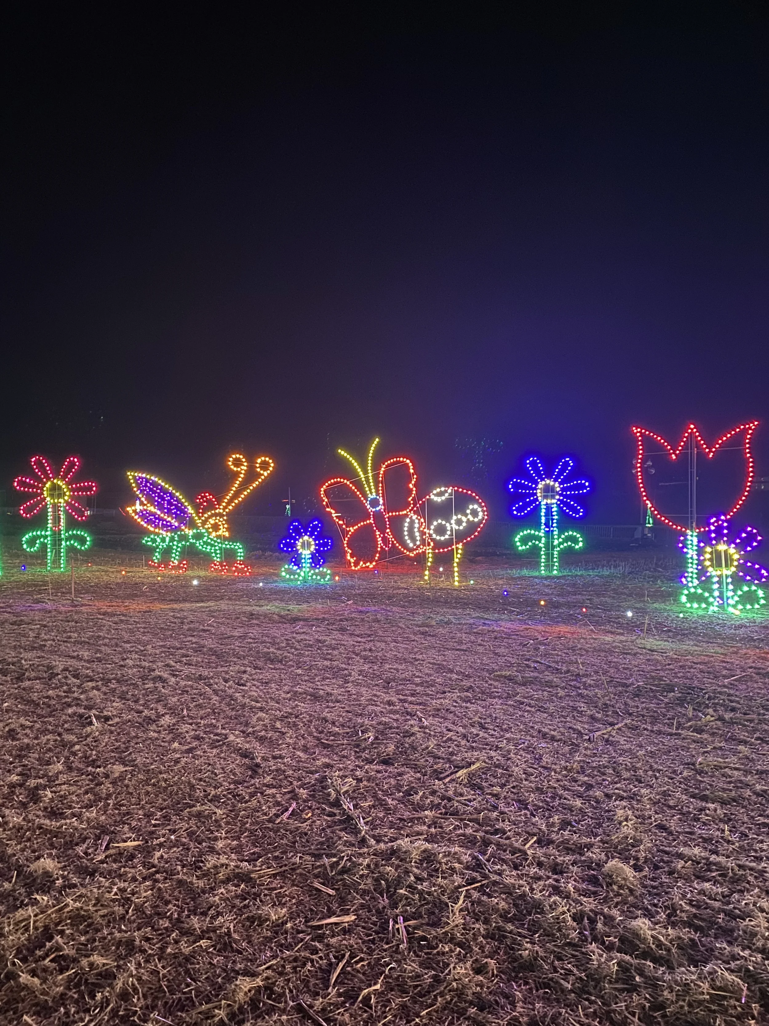 Trail of Lights — Country Creek Produce Farm