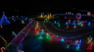 Trail of Lights — Country Creek Produce Farm