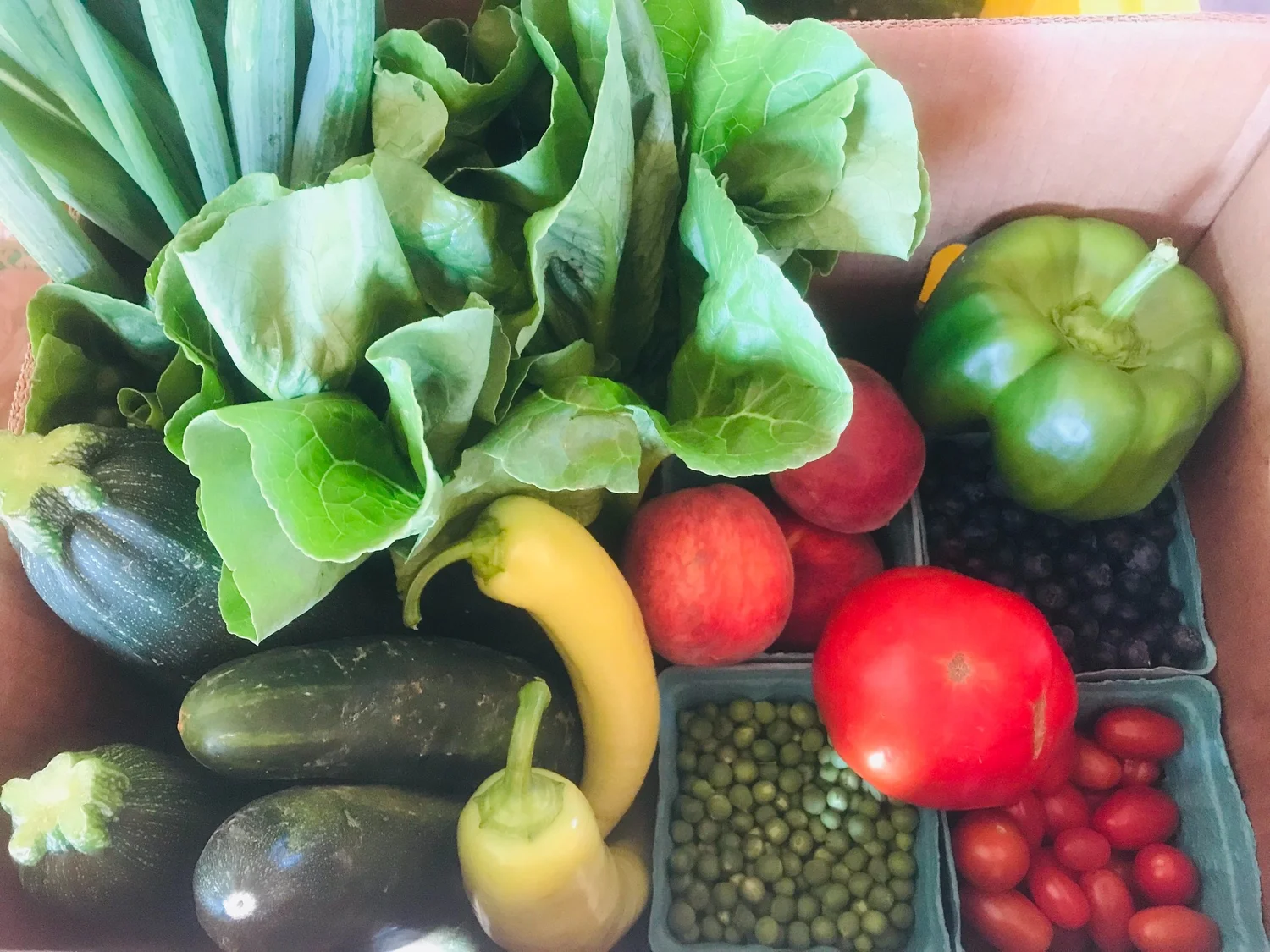 Produce — Country Creek Produce Farm