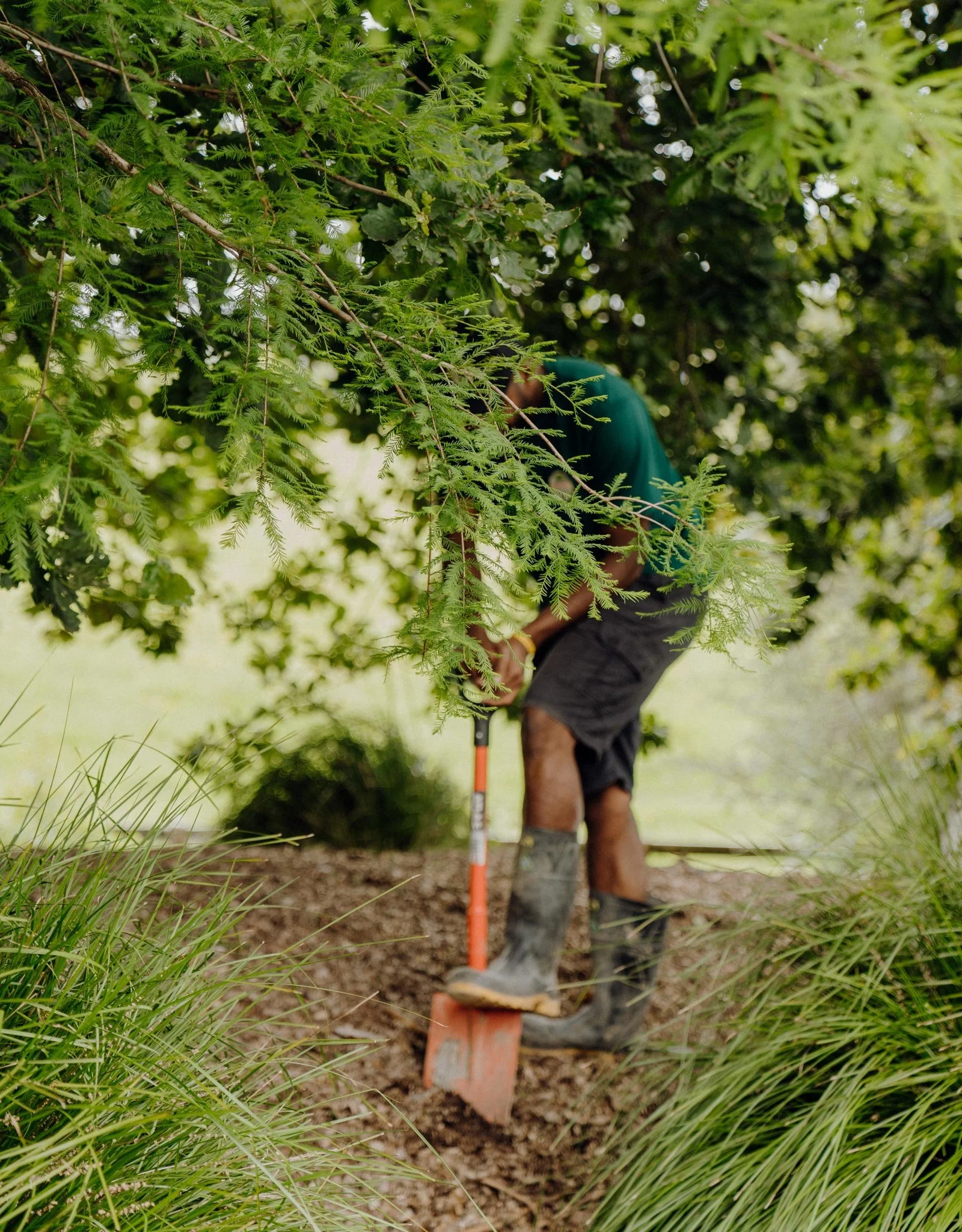 Services — Onsite Landscapes Pukekohe