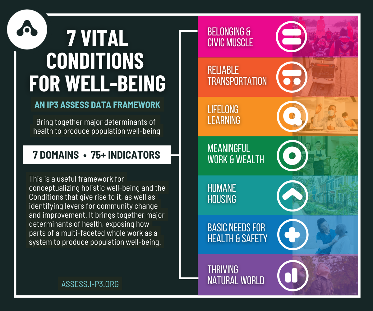 Vital Conditions for Well-Being — IP3 ASSESS