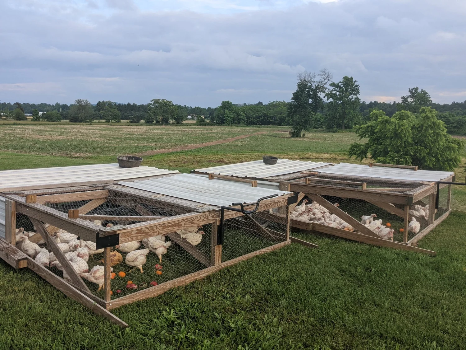Revercomb Farms | Family Owned | Poultry, Pork, & Eggs | Bridgewater, VA