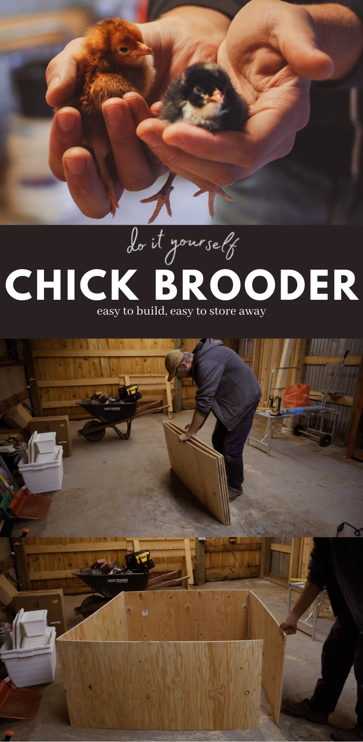 Easily Stored Away Chick Brooder Plans — a wooden nest