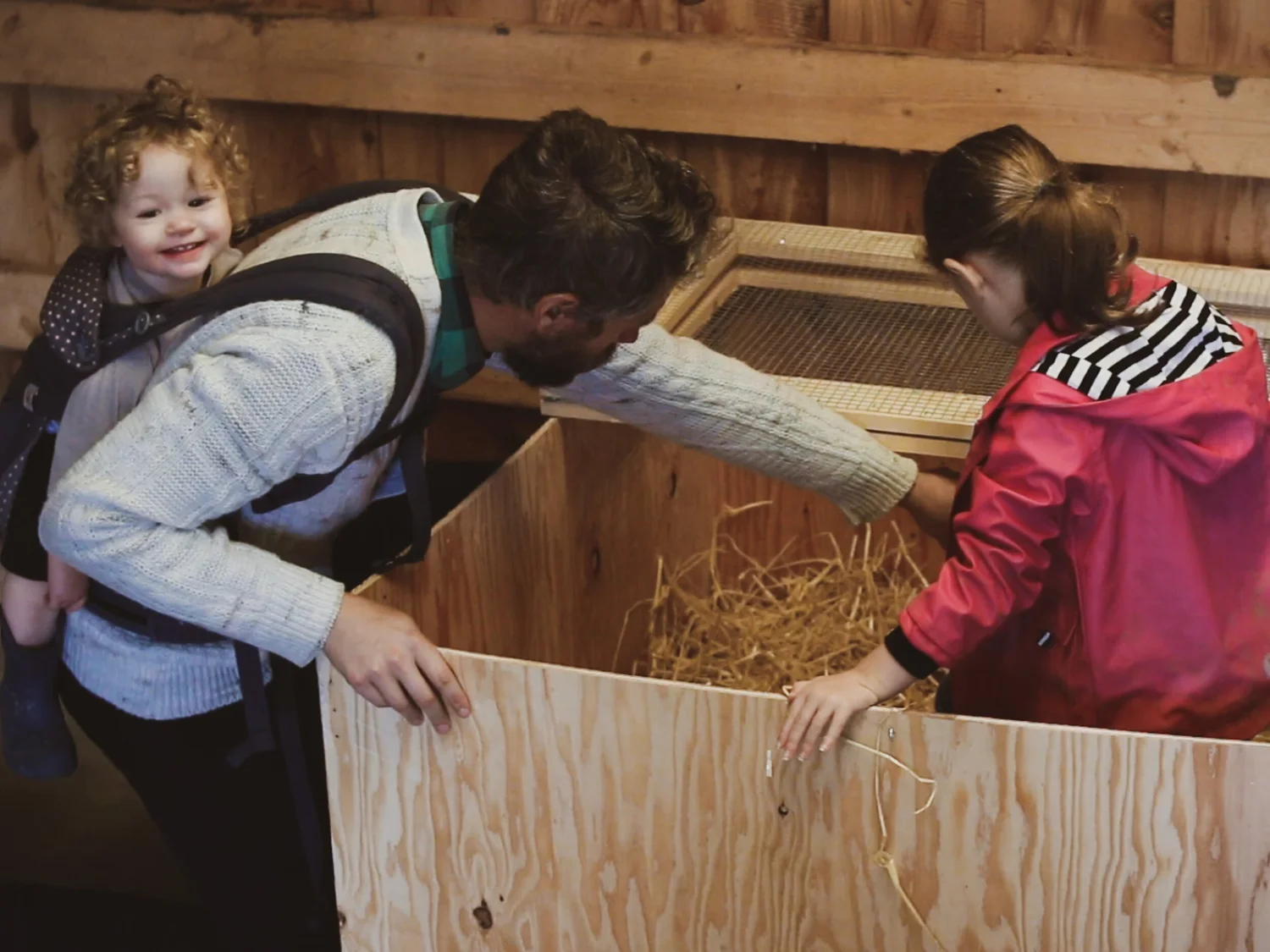 Easily Stored Away Chick Brooder Plans — a wooden nest