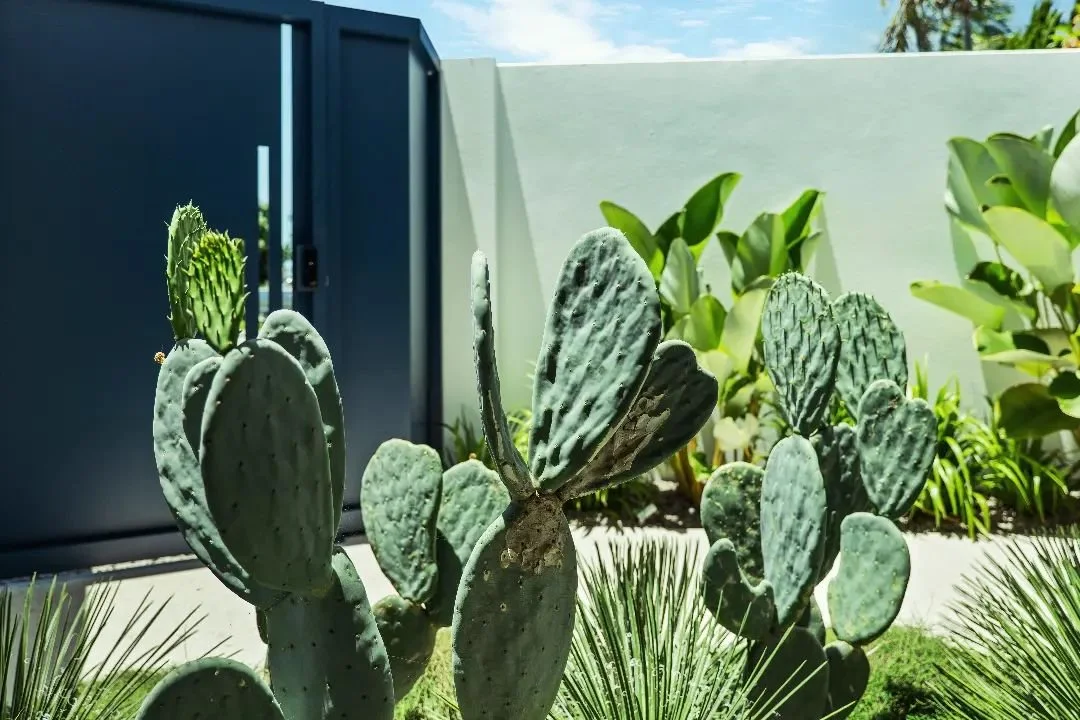 LIMINAL Landscape Design | Landscape Design Newcastle