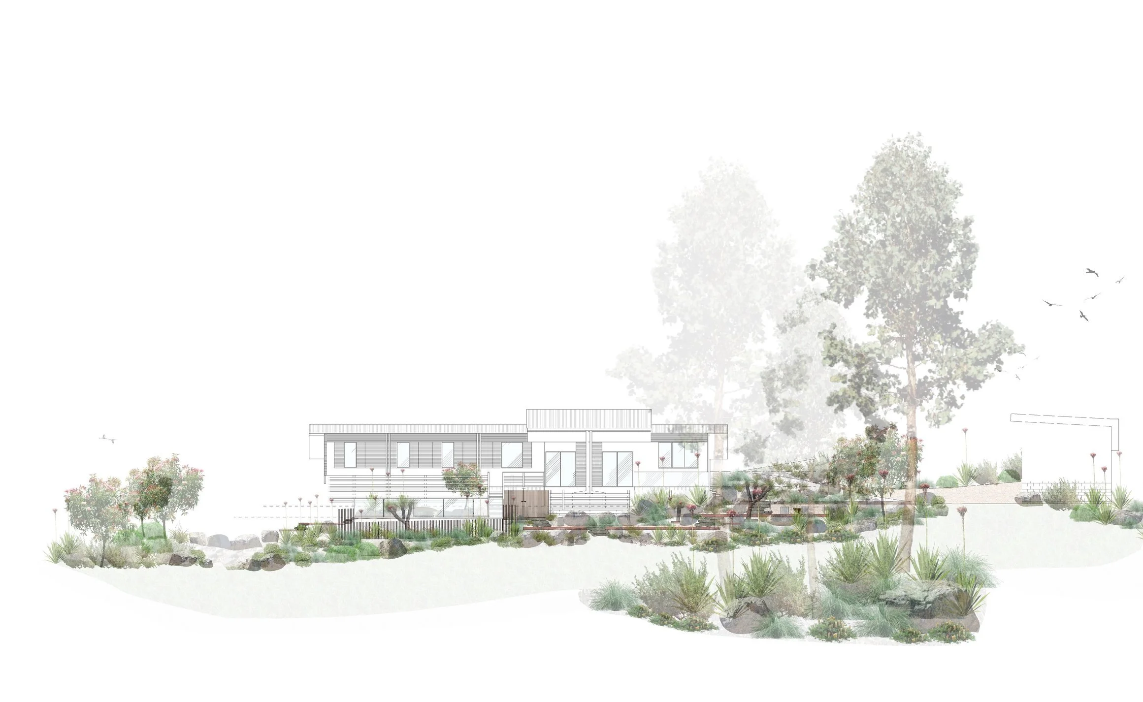 Landscape Designer | Sydney, Newcastle & Hunter Landscape Design ...