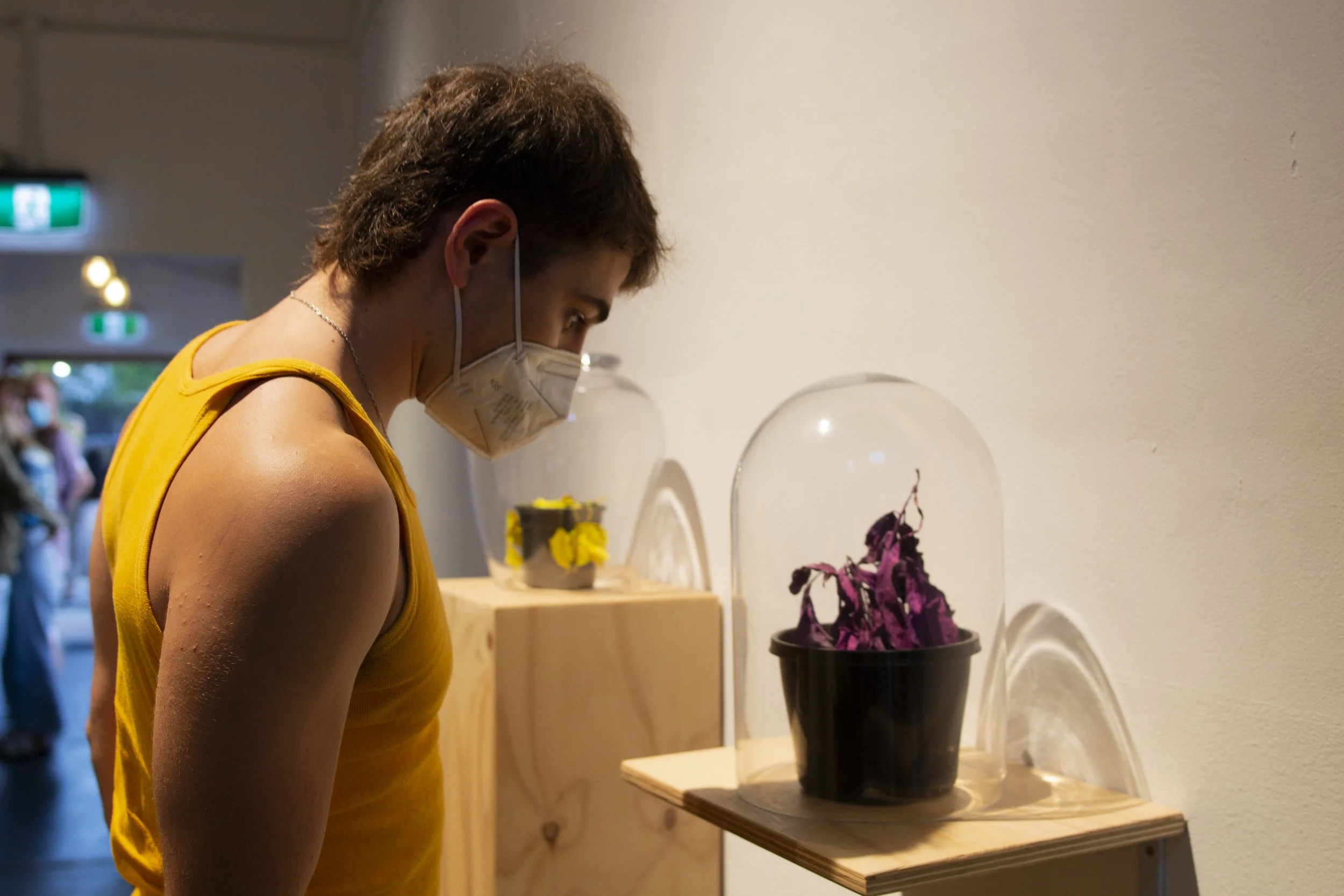 Venue Hire — PACT Centre for Emerging Artists