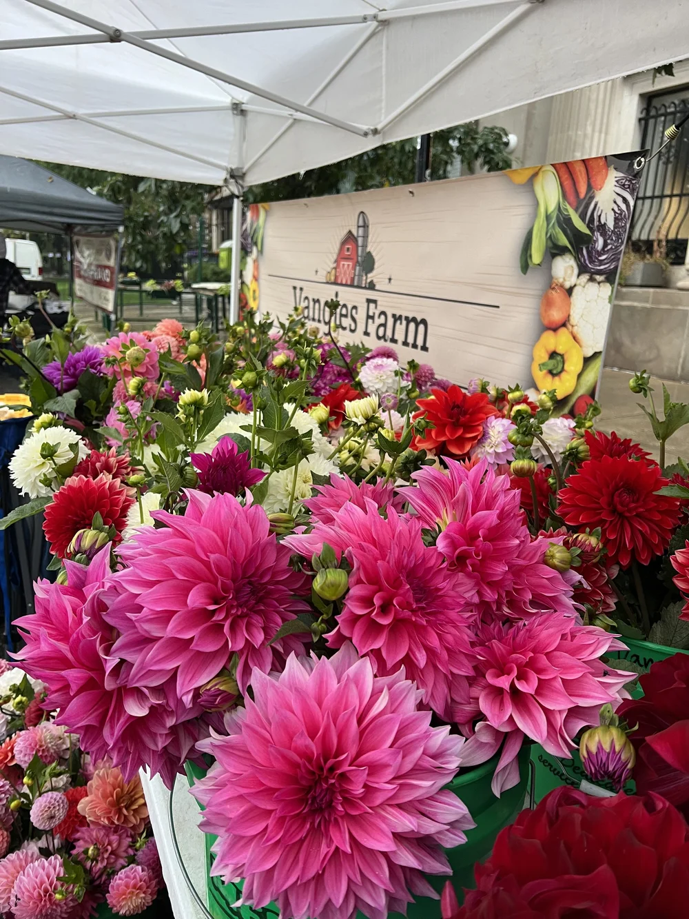 Vangies Farm LLC
