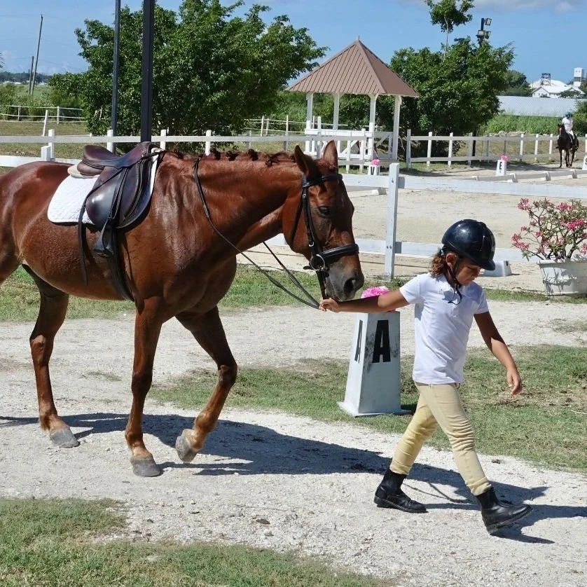 Lessons — Sandy Turf Stables