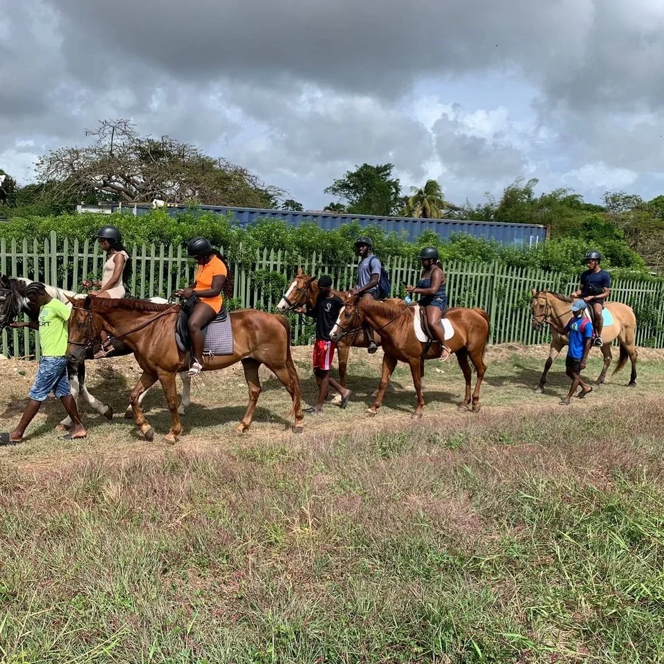 Book a Ride / Lesson — Sandy Turf Stables
