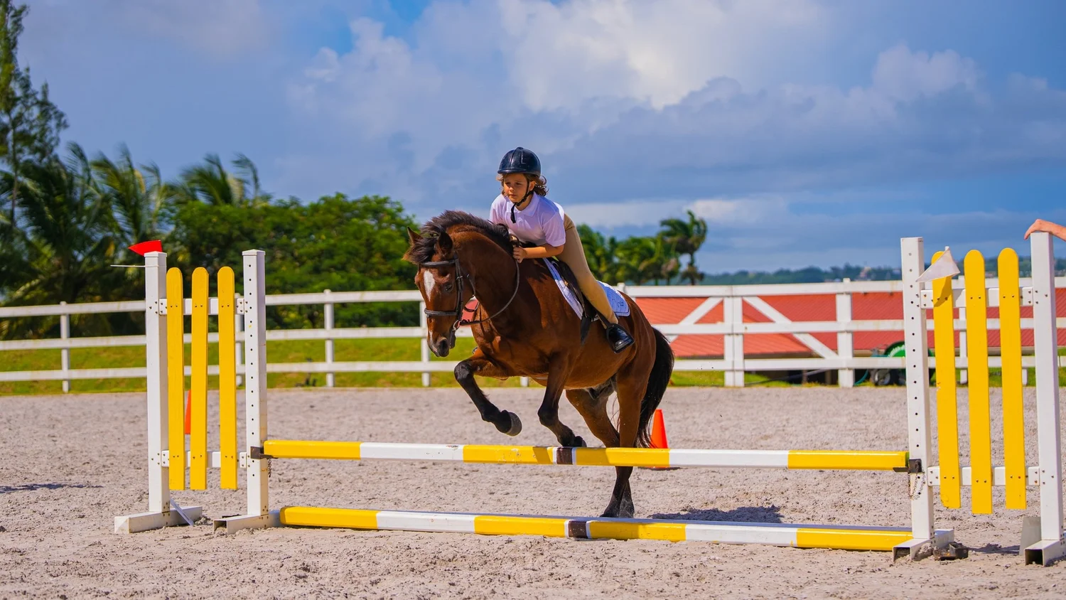 About — Sandy Turf Stables