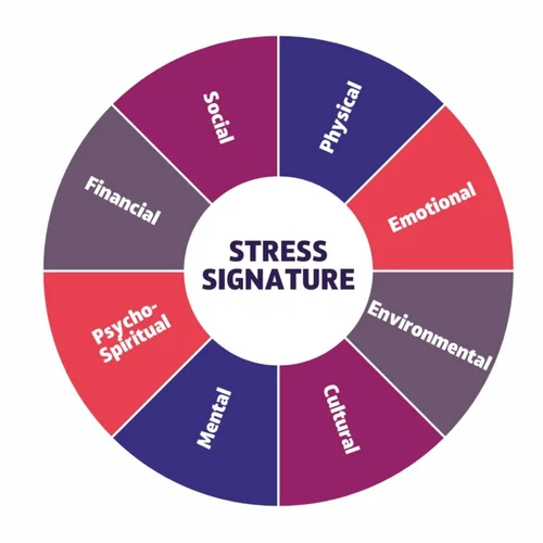 What’s your stress signature? — Moxie Barbell | Online Fitness Coaching