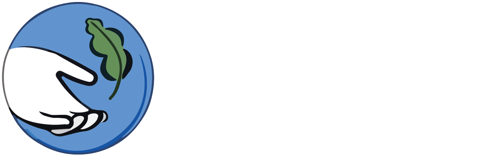 Ojai Trees