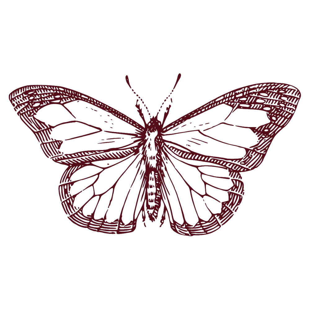 Into The Light — Whitney Allen | Grief Coaching for Young Widows ...