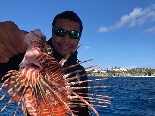 Invasive Lionfish in Bermuda — Dive Bermuda at Somerset